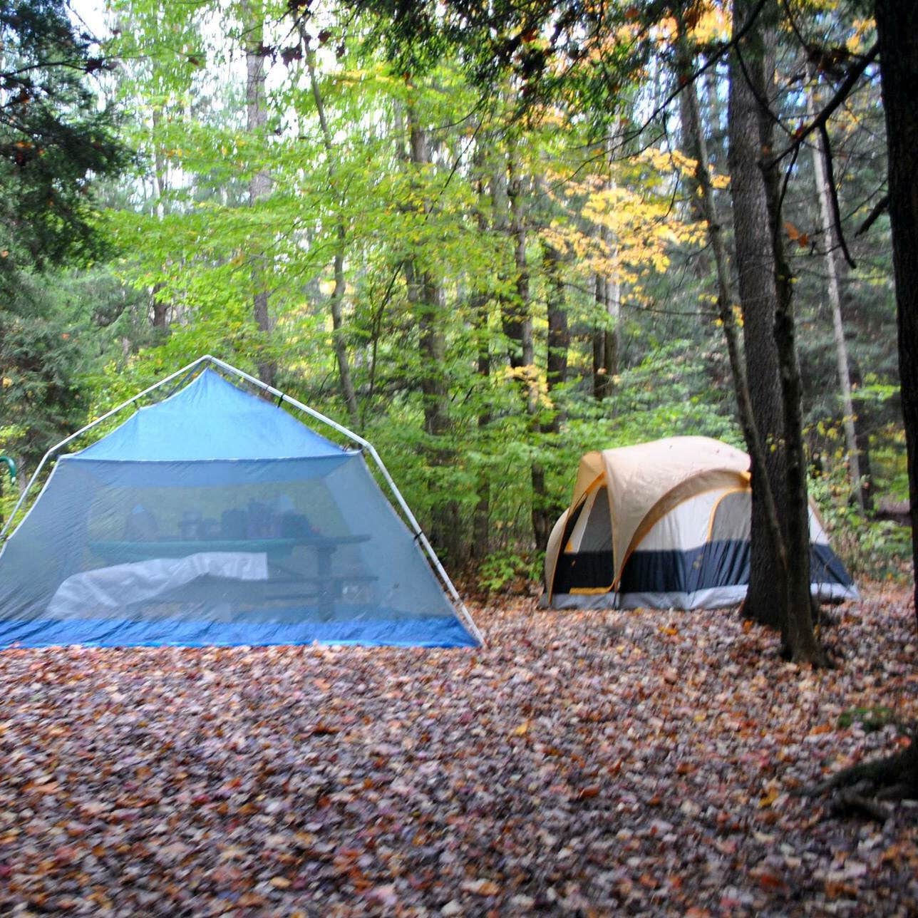 Lyman Run State Park Camping | The Dyrt