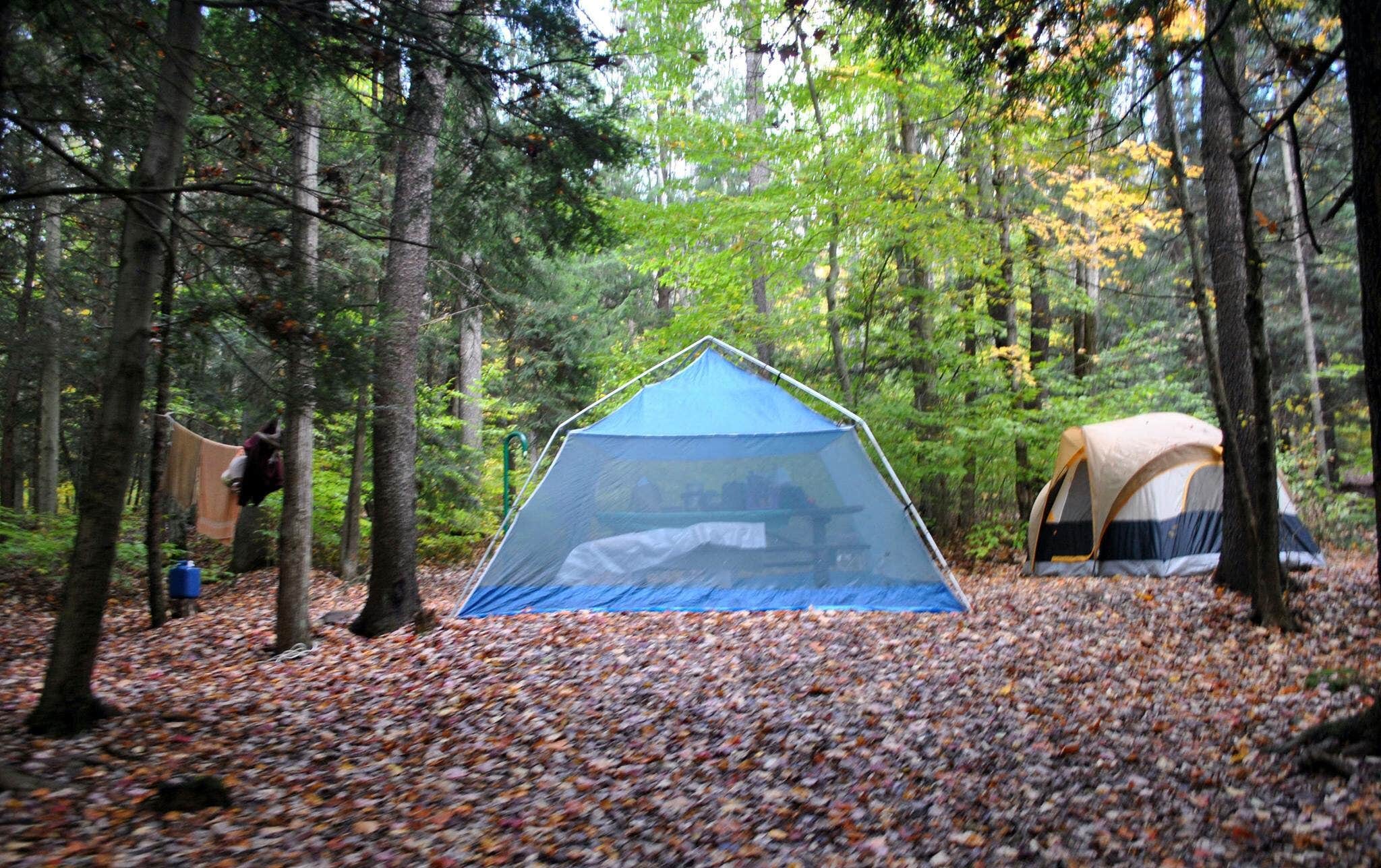 Lyman Run State Park Camping | The Dyrt