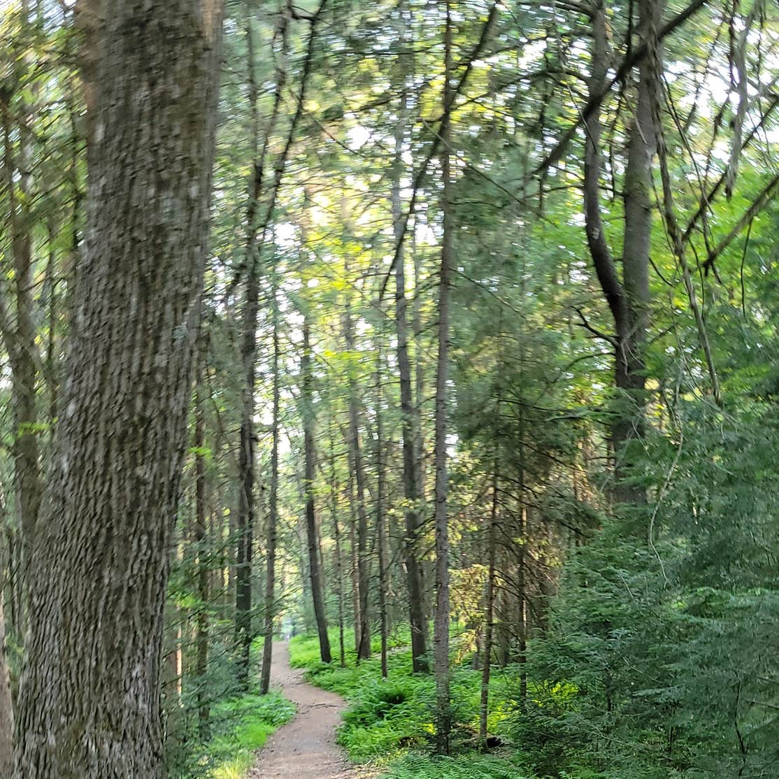 Raymond B. Winter State Park Campground | Mifflinburg, PA