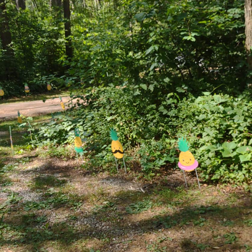 Fort Custer Recreation Area Camping | Augusta, Michigan