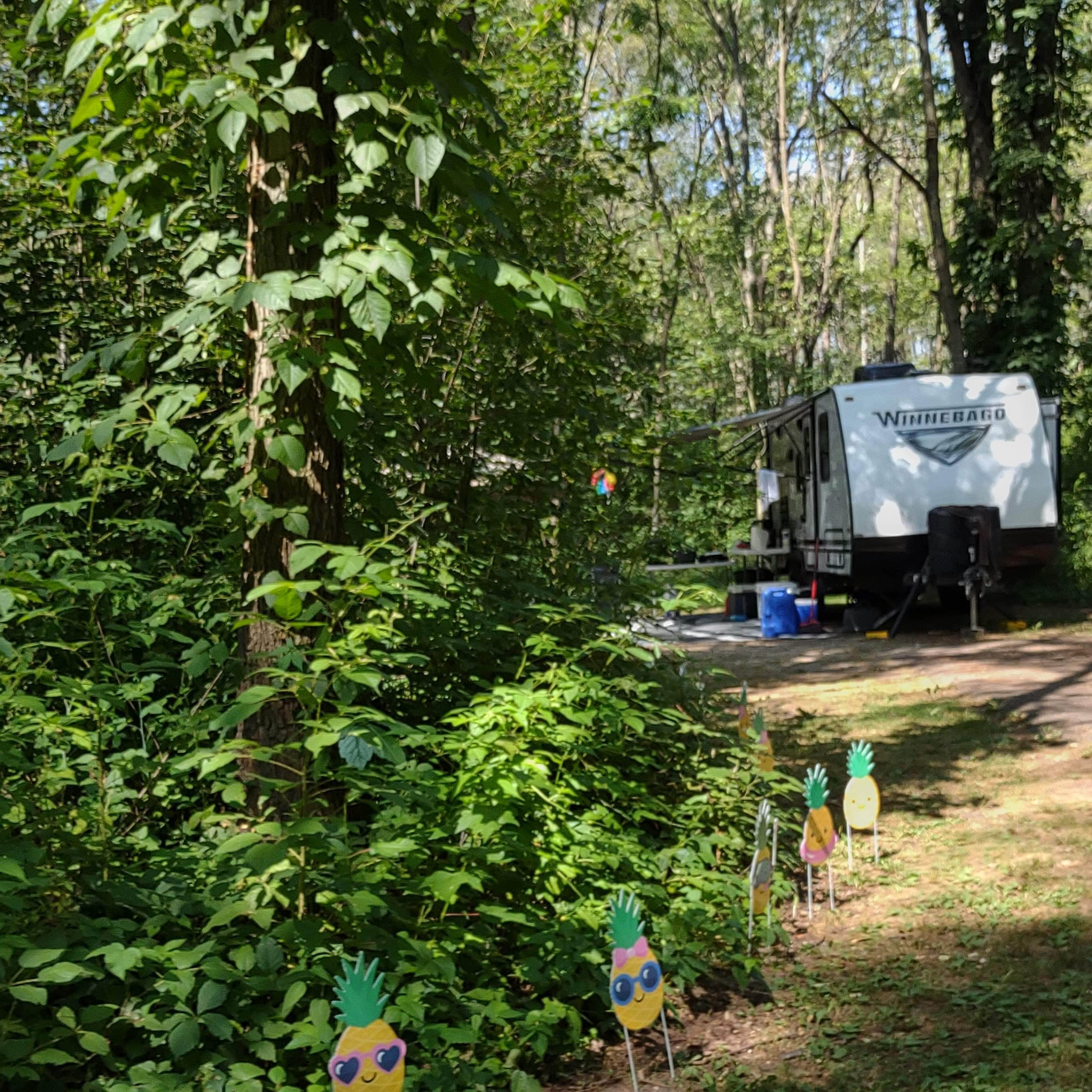Fort Custer Recreation Area Camping | Augusta, Michigan