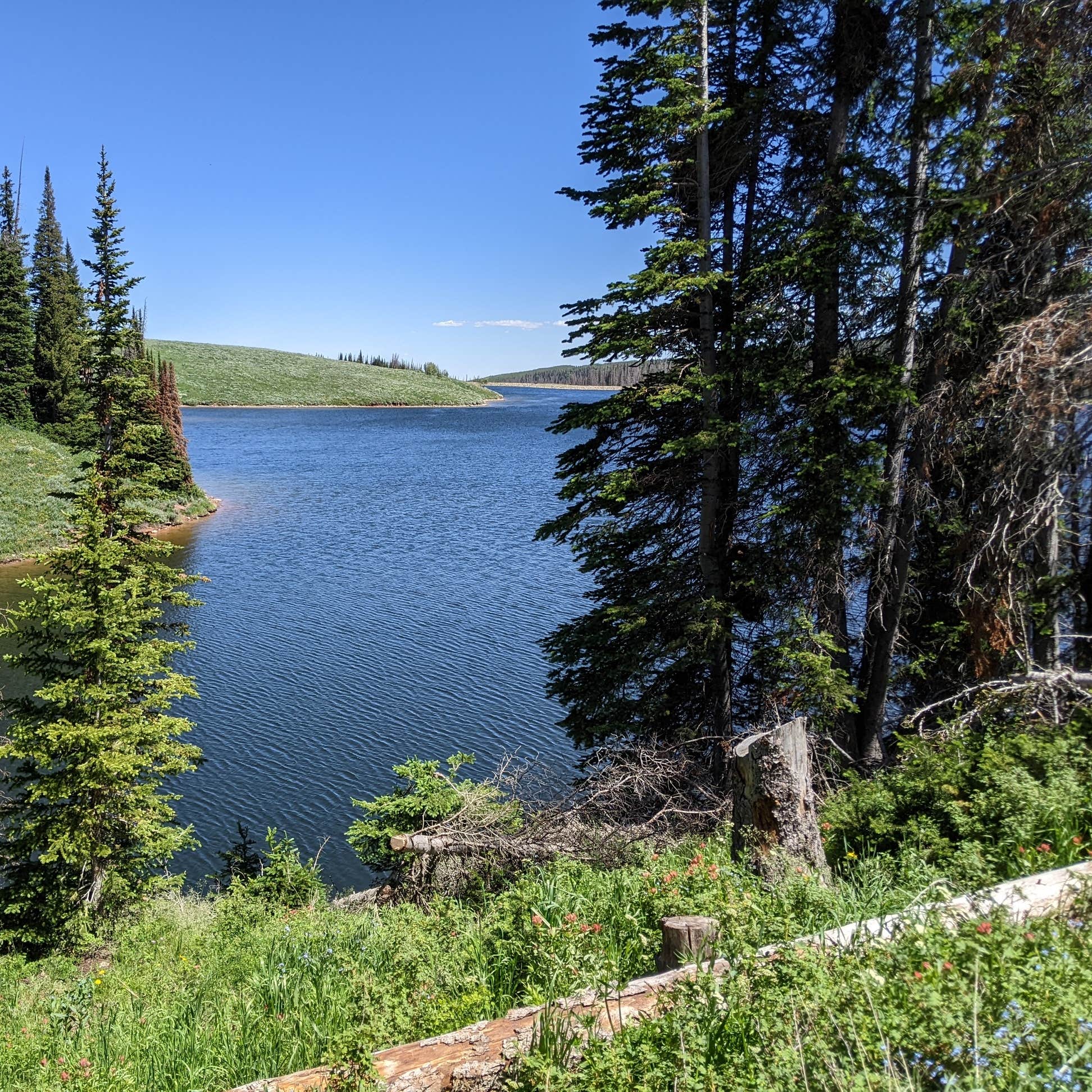Whitney Reservoir Camping | The Dyrt
