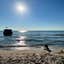 Weko Beach Campground Camping | The Dyrt