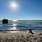 Weko Beach Campground Camping | The Dyrt