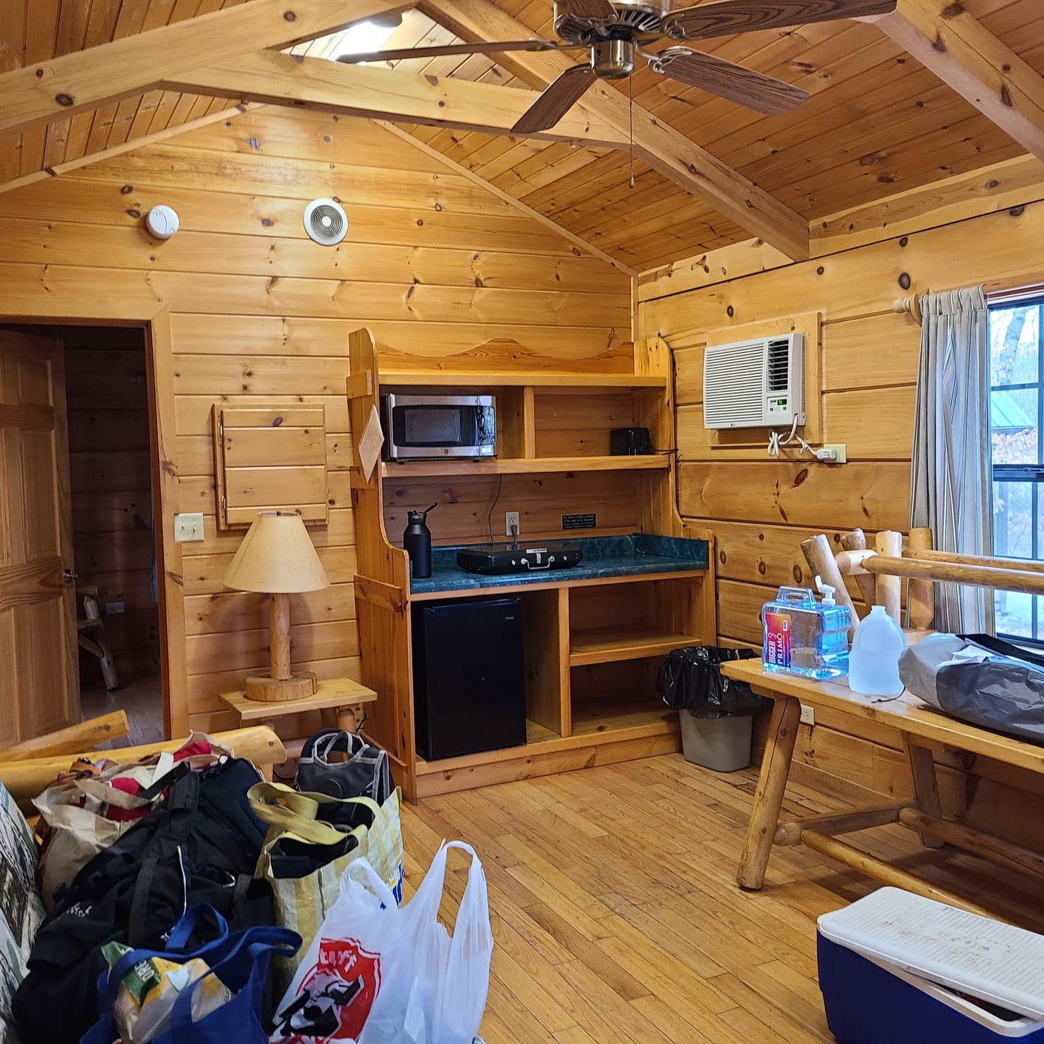 Puma — Mark Twain State Park Camping | Stoutsville, Missouri