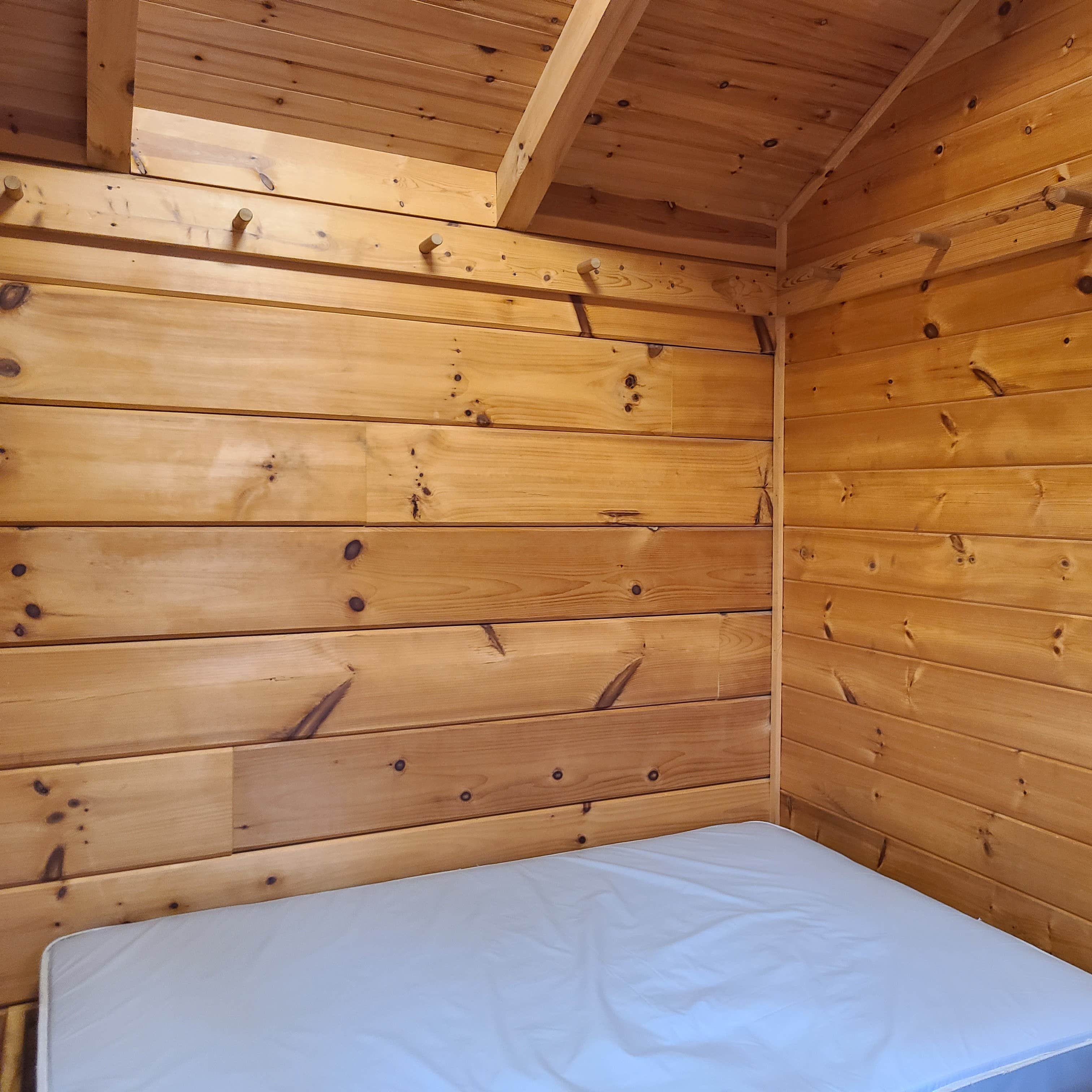 Puma — Mark Twain State Park Camping | Stoutsville, Missouri