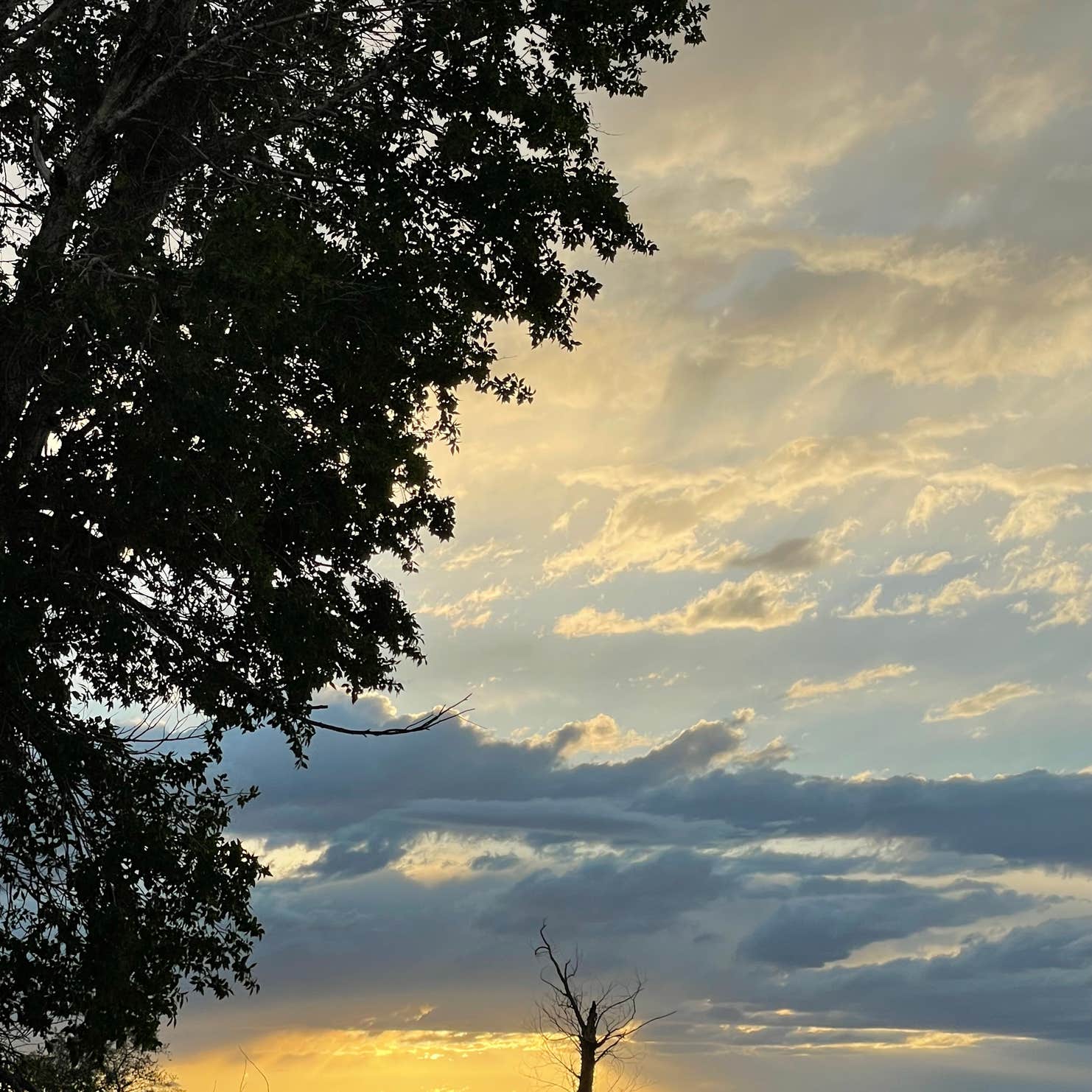 Eureka Reservoir Camping | Bynum, Montana