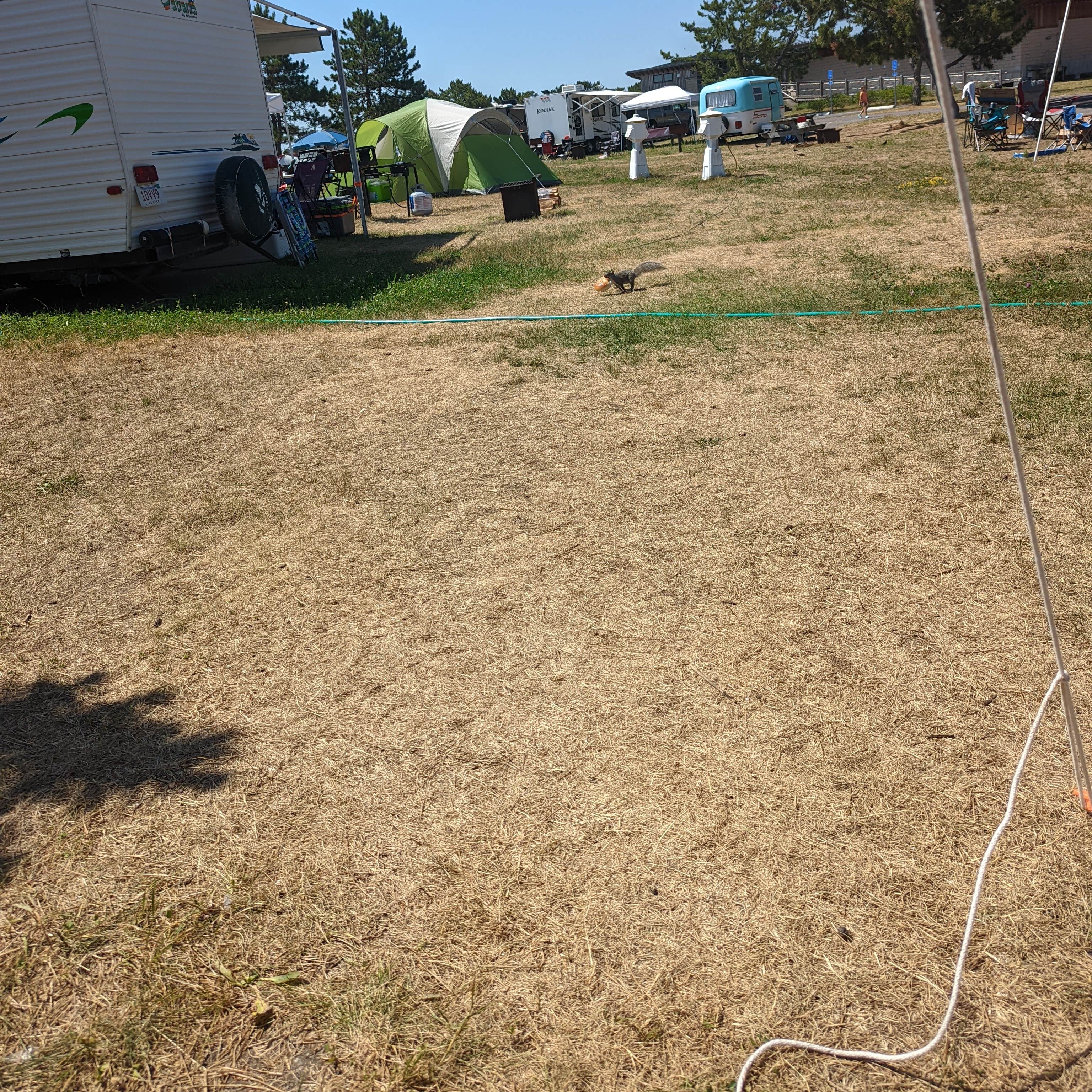 Salisbury Beach State Reservation Camping | Salisbury, Massachusetts