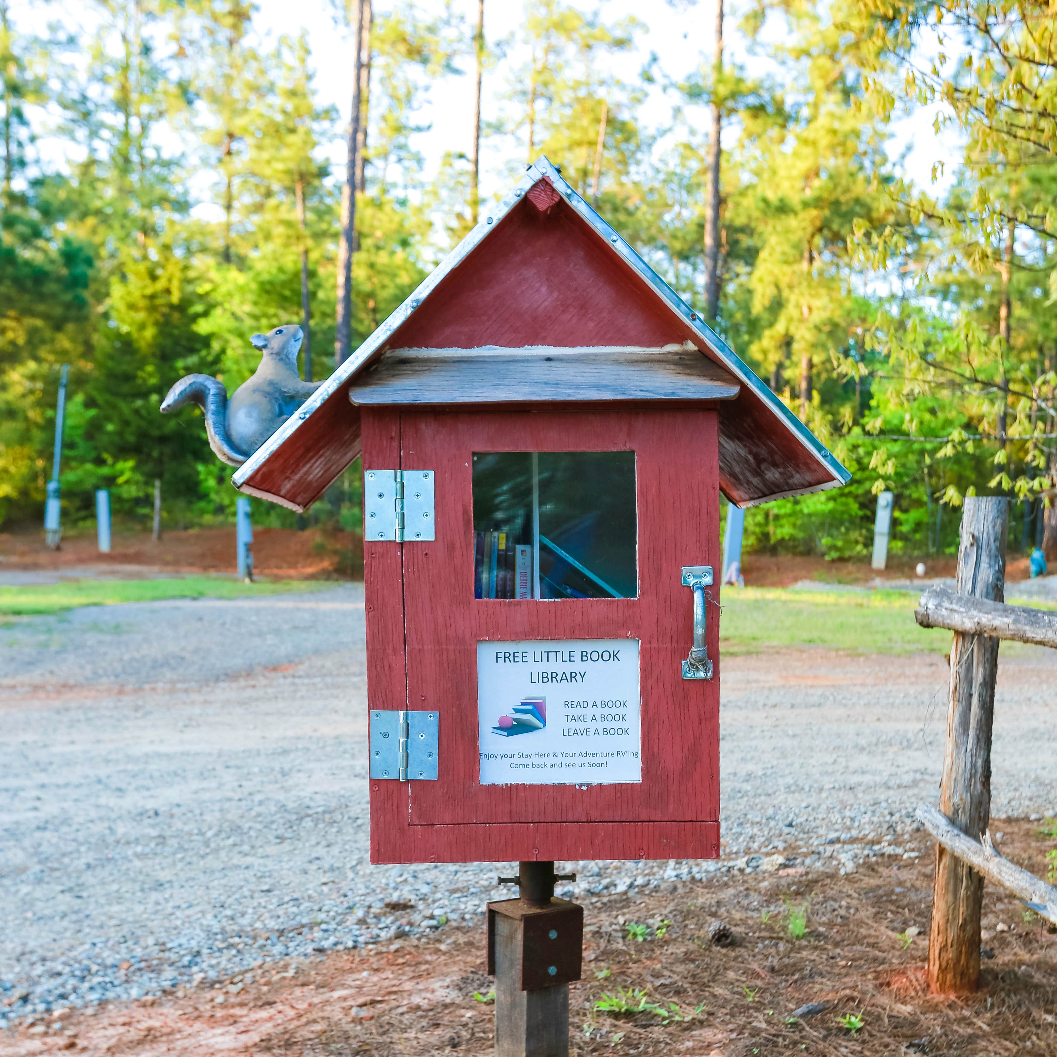 Broad River Campgound Camping | The Dyrt