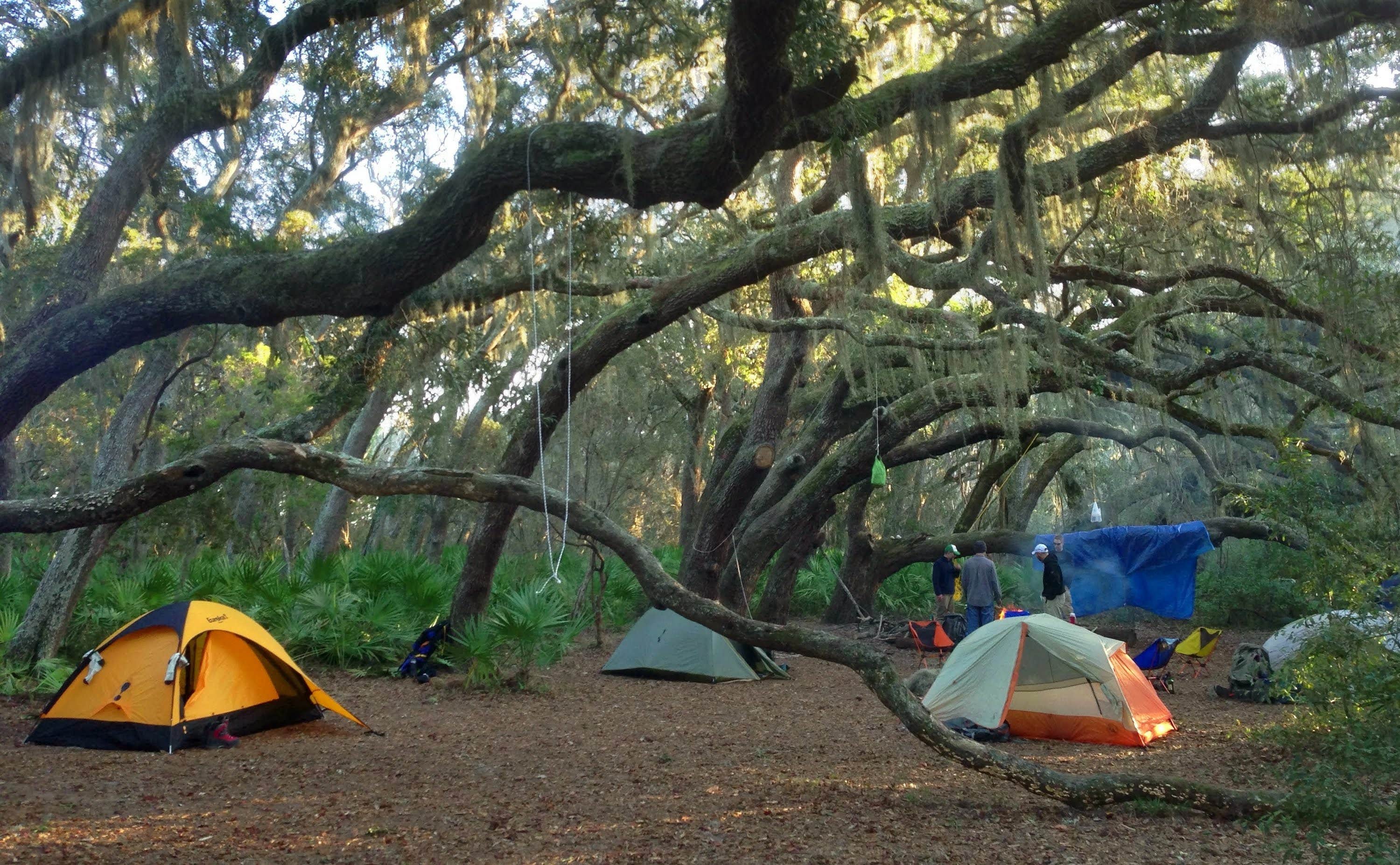 Stafford Beach Campground — Cumberland Island National Seashore ...