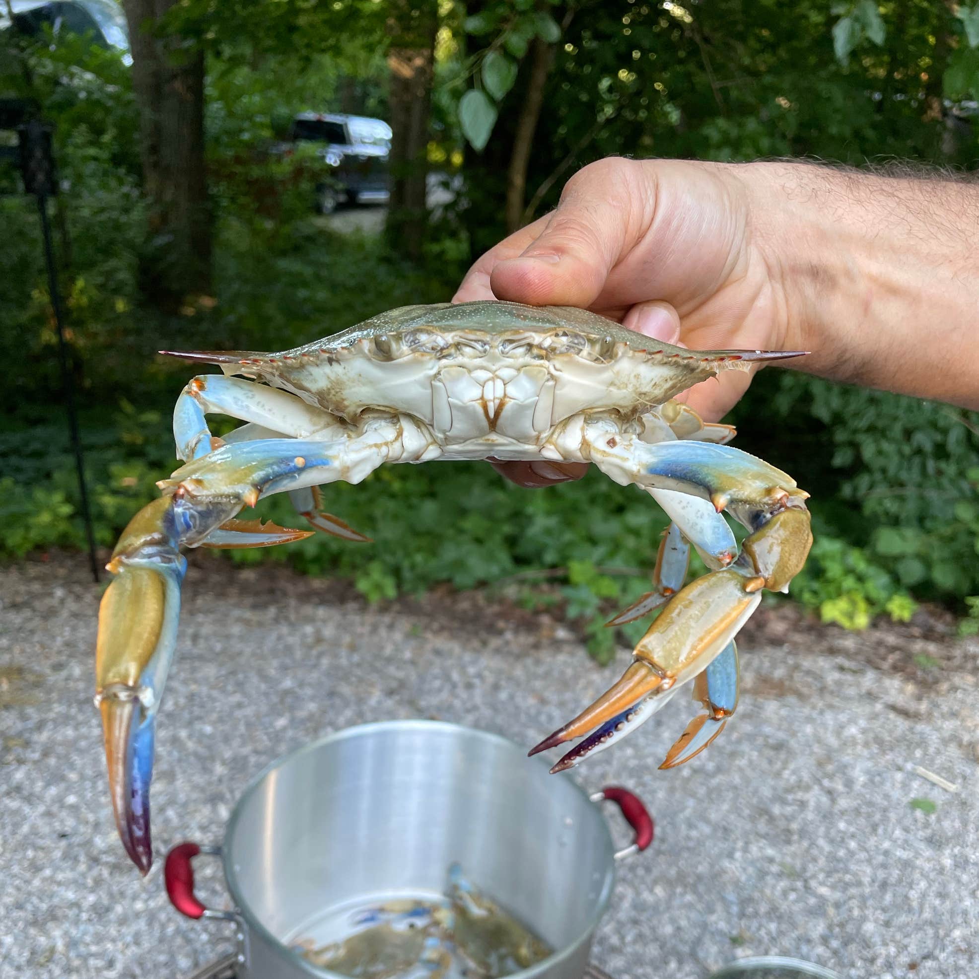 Merry Meadows Recreation Farm Camping | Freeland, Maryland