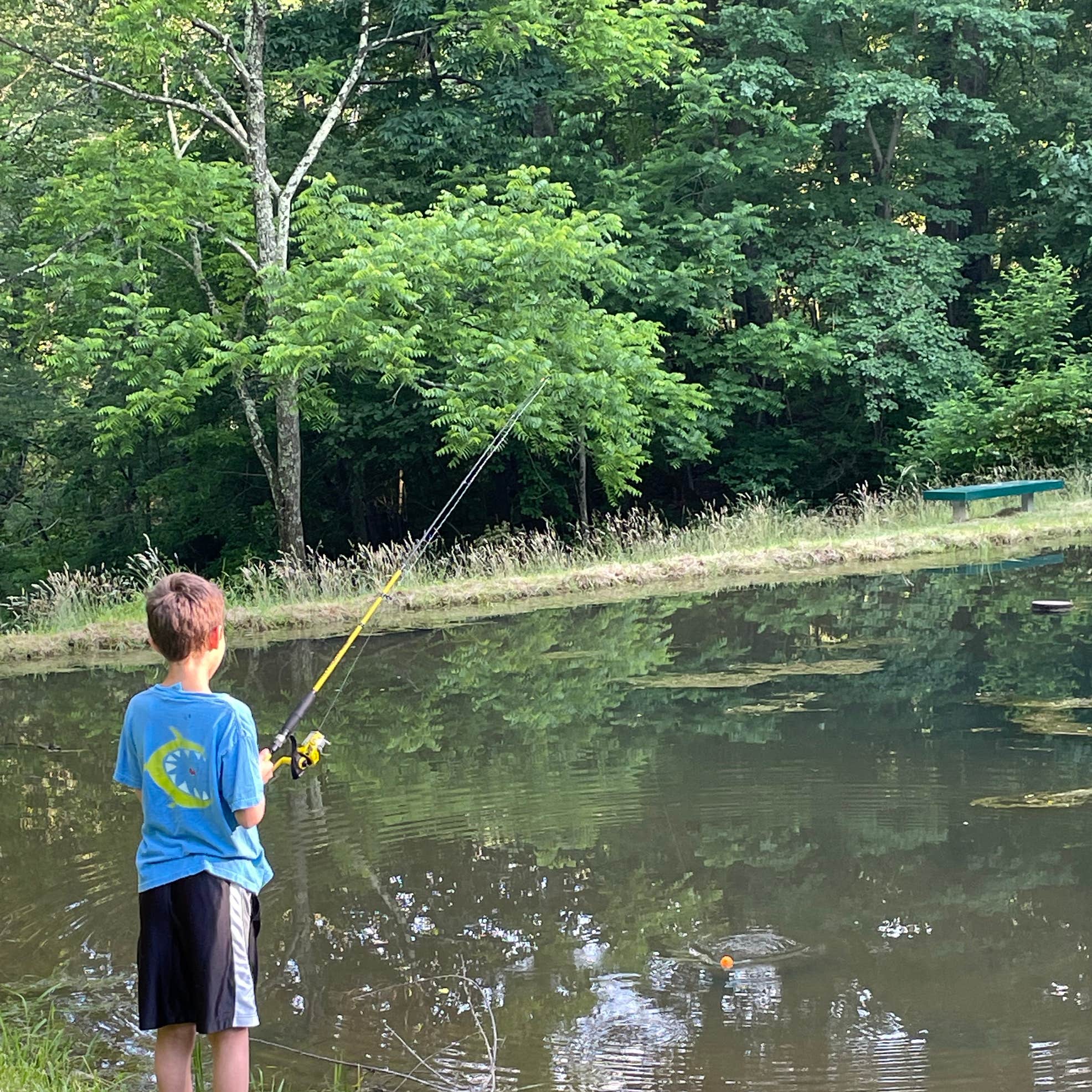 Merry Meadows Recreation Farm Camping | Freeland, Maryland