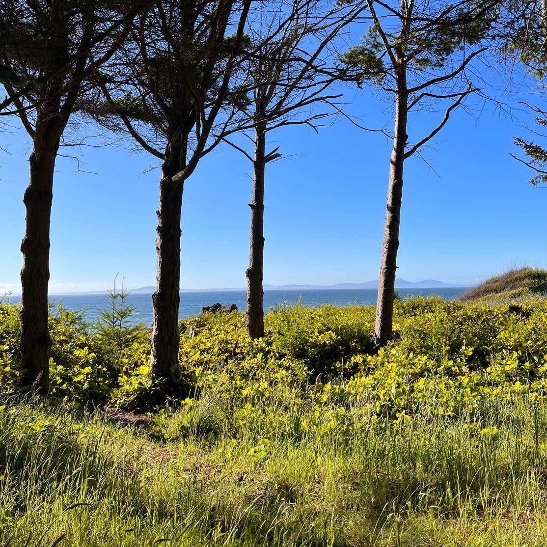 Cliffside RV Park - Military | Oak Harbor, Washington