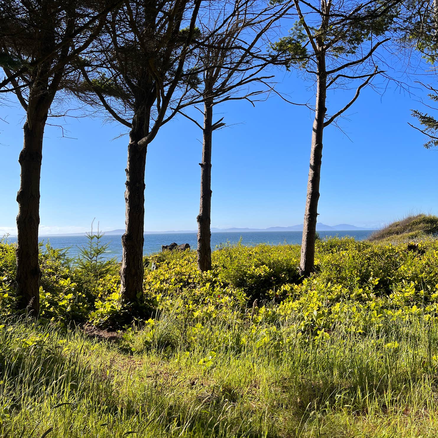 Cliffside RV Park - Military | Oak Harbor, Washington