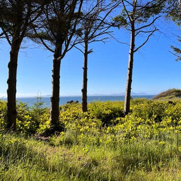 Cliffside RV Park - Military | Oak Harbor, Washington