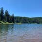 Goose Lake Campground | Trout Lake, Washington