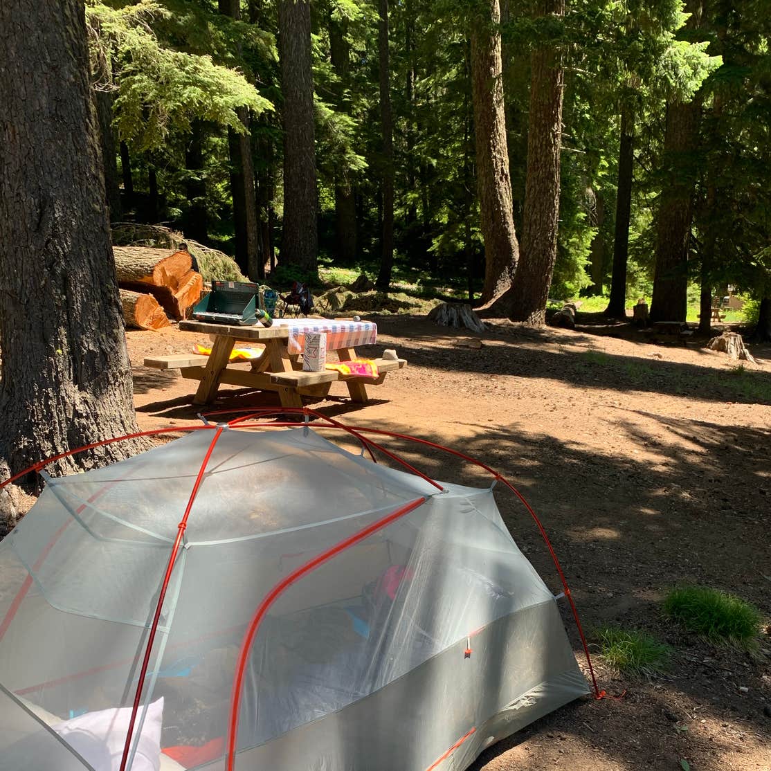 Goose Lake Campground | Trout Lake, Washington