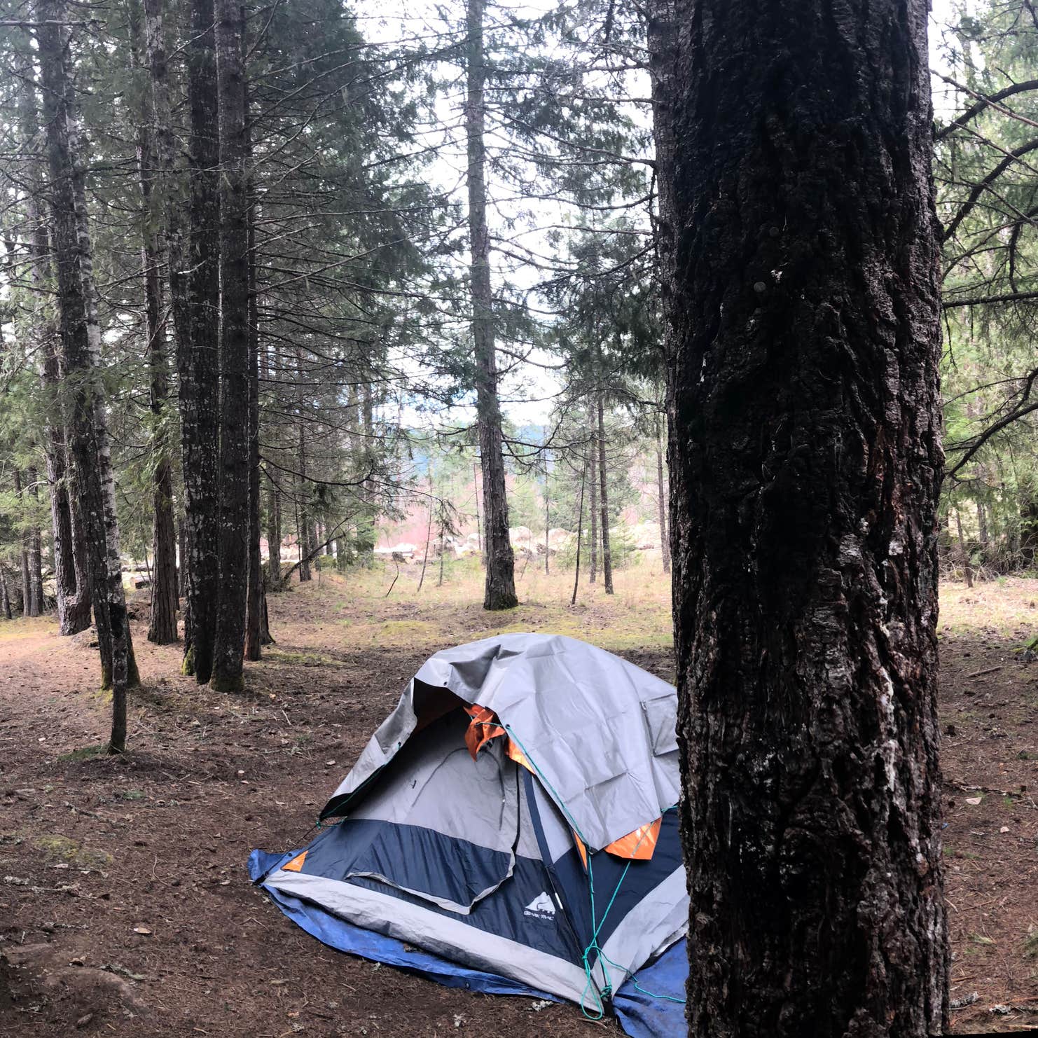 Toketee Lake Campground — Umpqua National Forest | Clearwater, Oregon