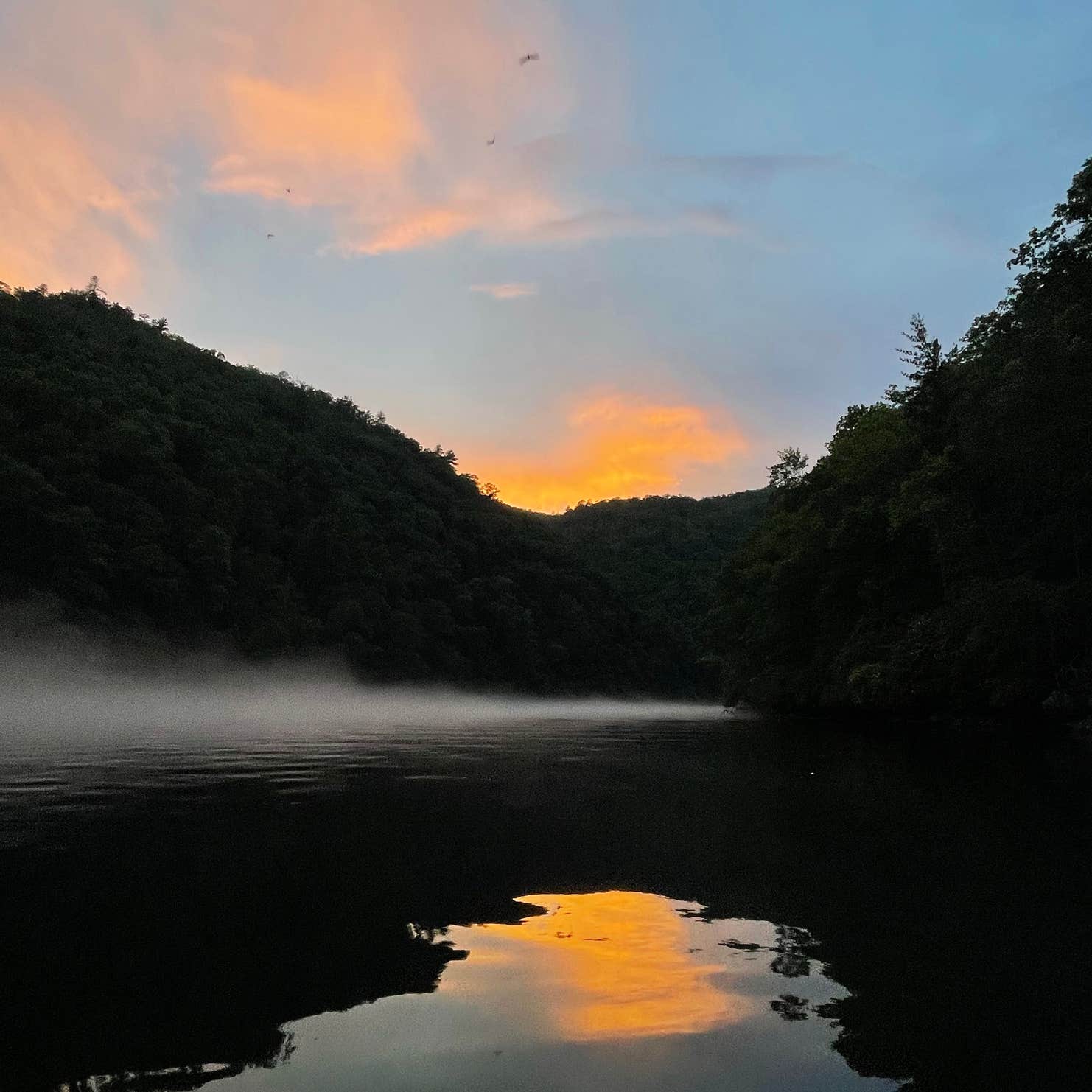Calderwood Lake Primitive campground | Croatan National Forest, North ...