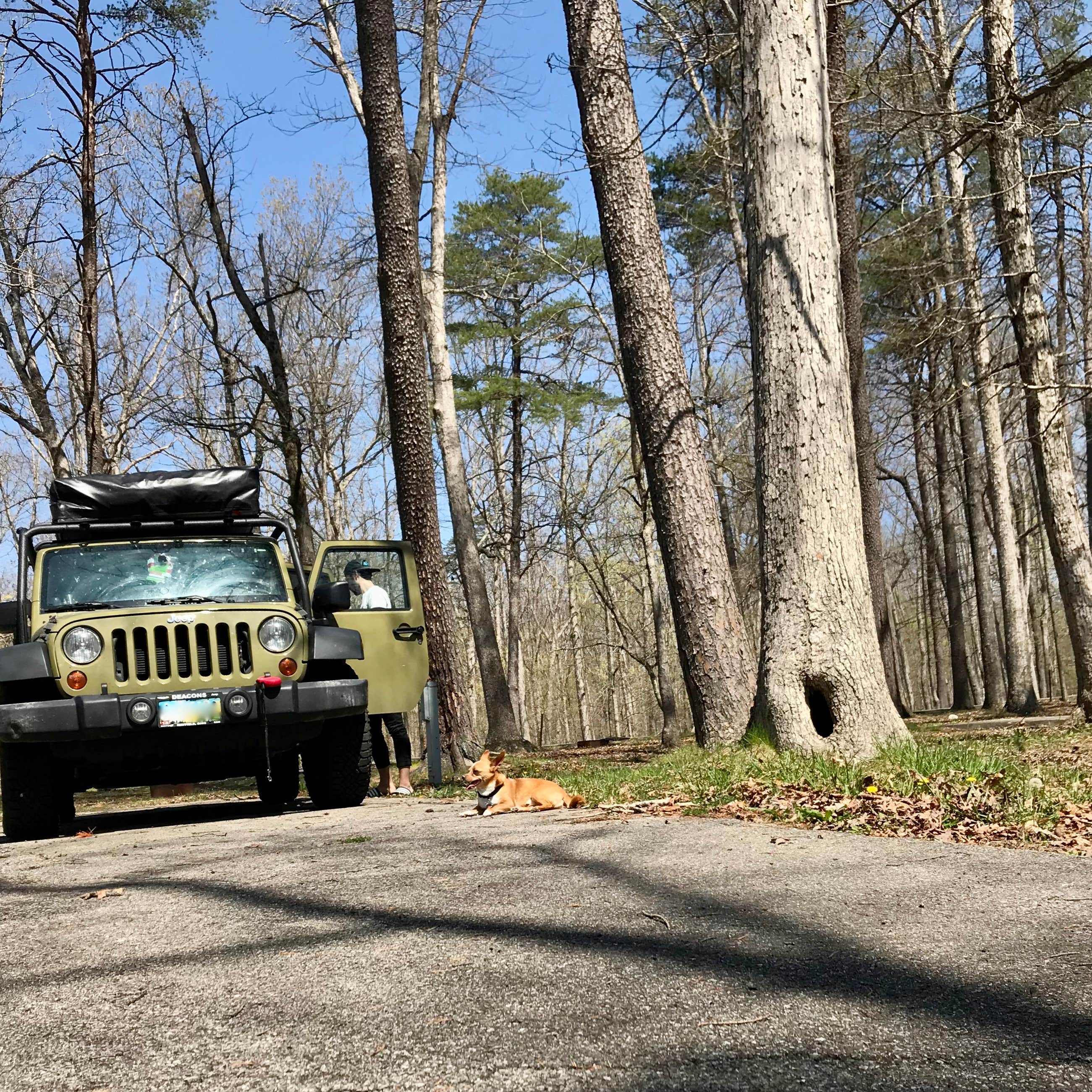 Deam Lake State Rec Area Camping | The Dyrt