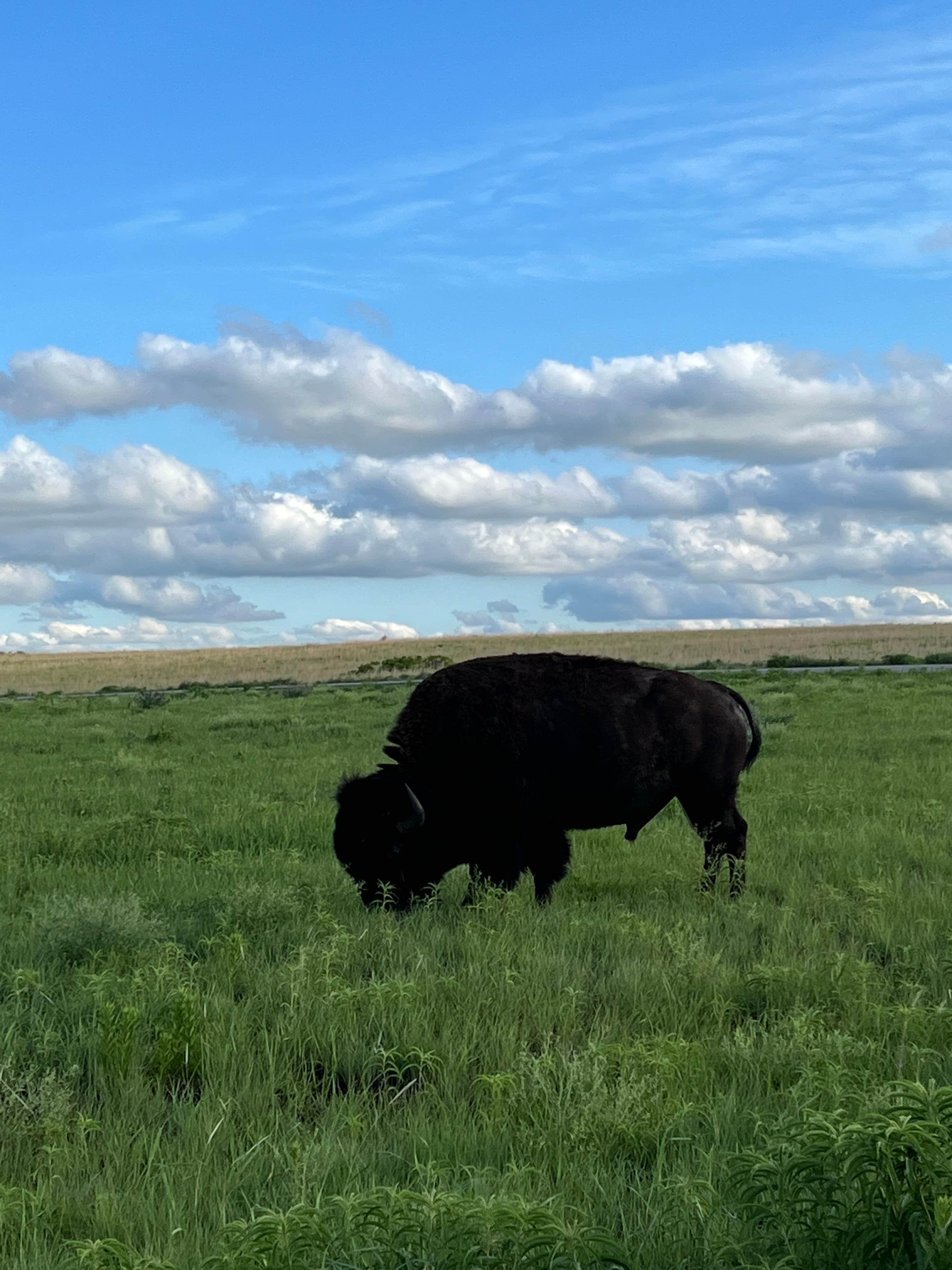 Doris Campground Camping | The Dyrt