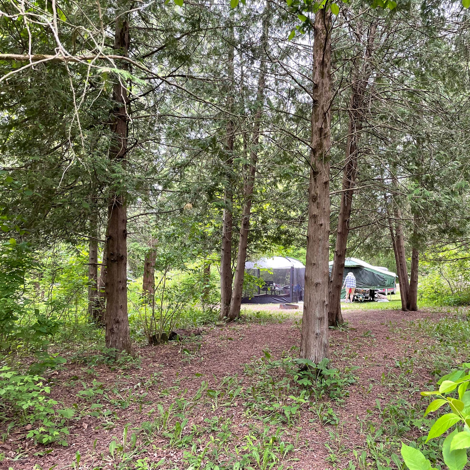 Kettle Moraine State Forest Long Lake Campground | Campbellsport, Wisconsin