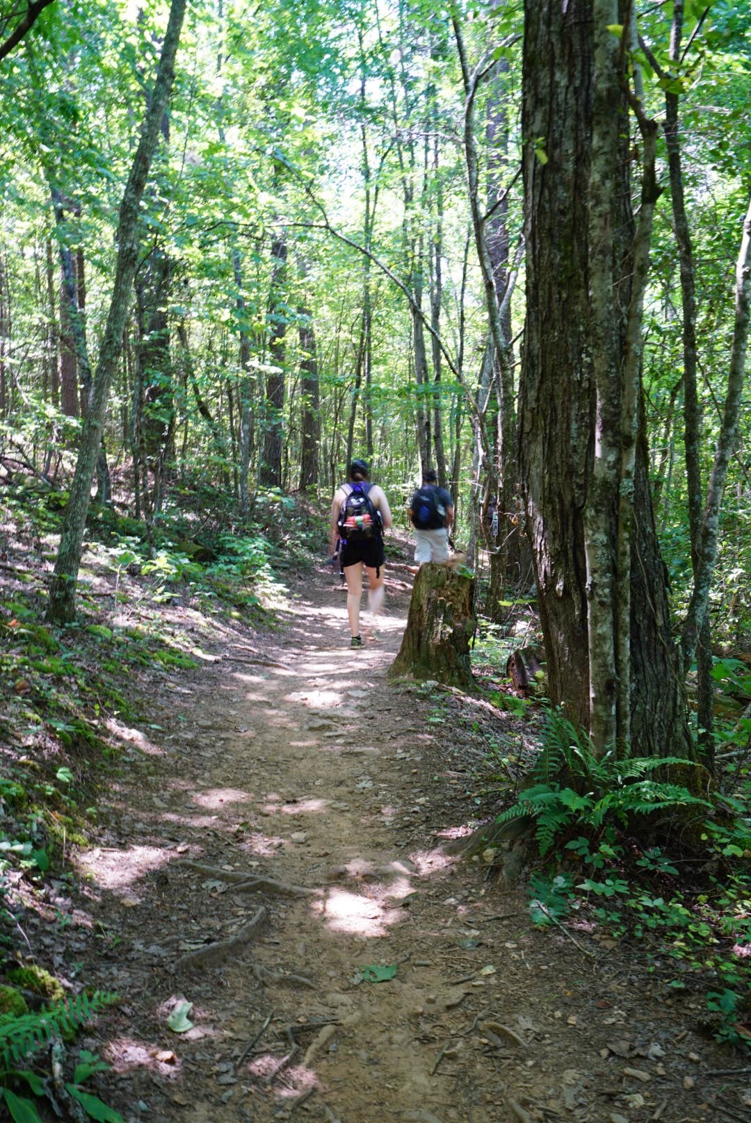Jackrabbit Mountain Camping | Hayesville, NC