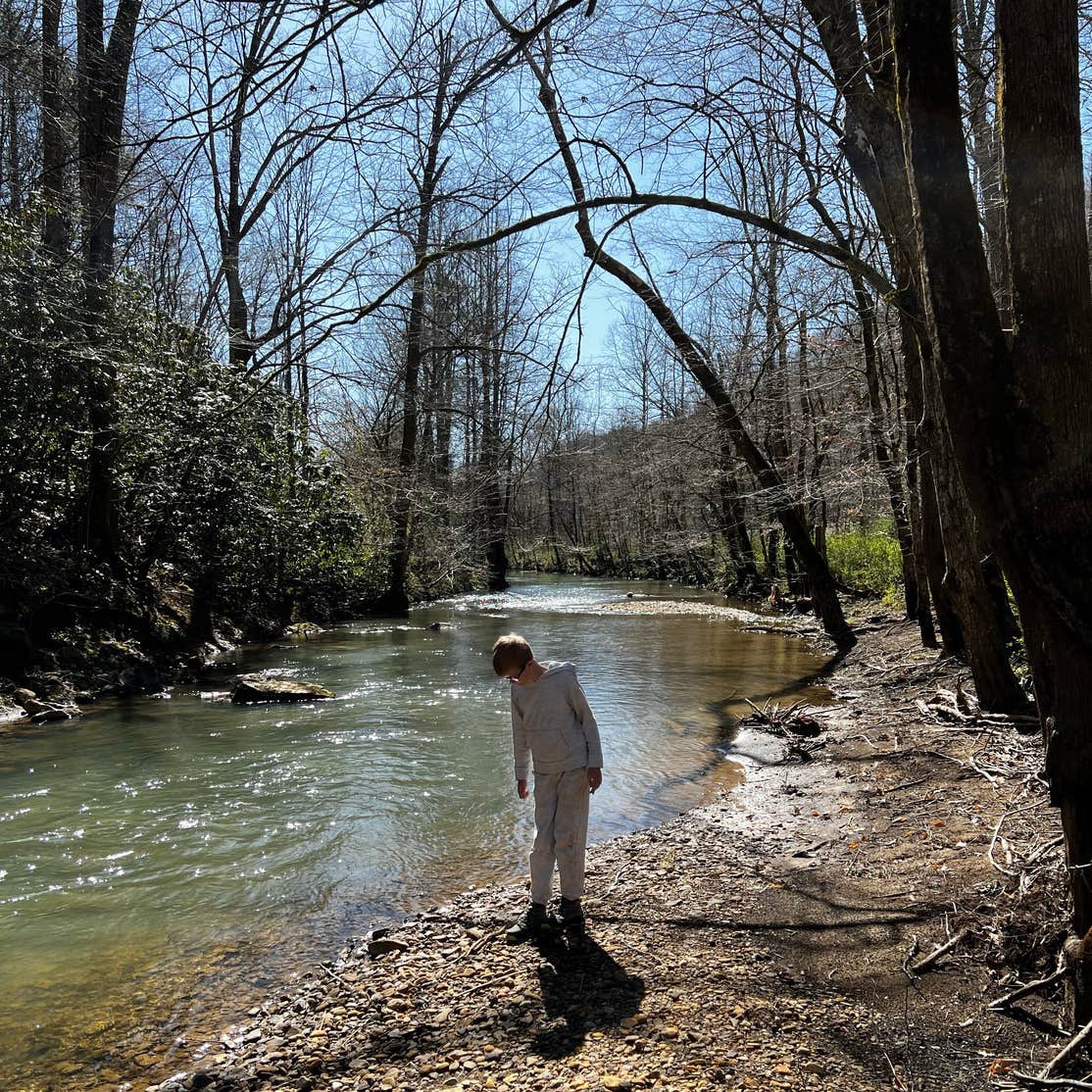 Windrock Ridge Campground Camping | The Dyrt