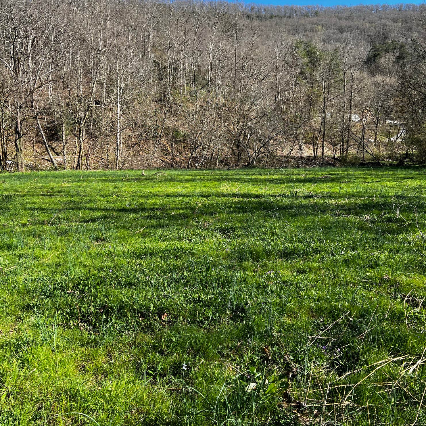 Windrock Ridge Campground | Oliver Springs, TN