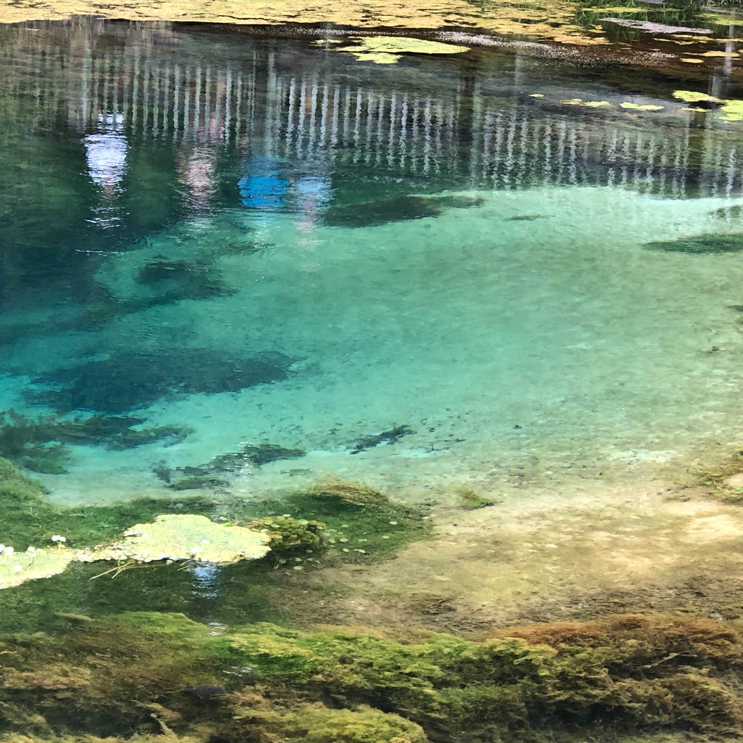 Magnolia Springs State Park Campground | Millen, GA