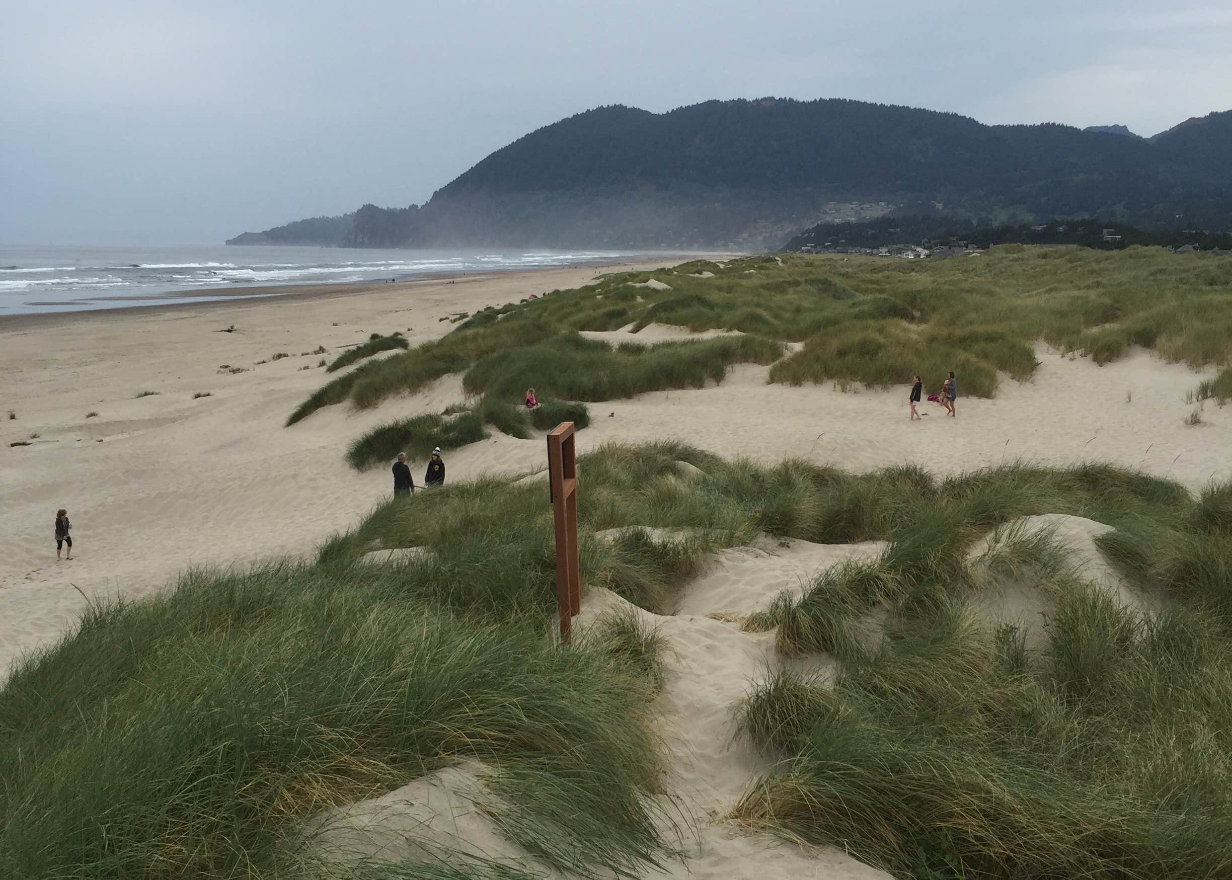 Nehalem Bay State Park Camping | The Dyrt