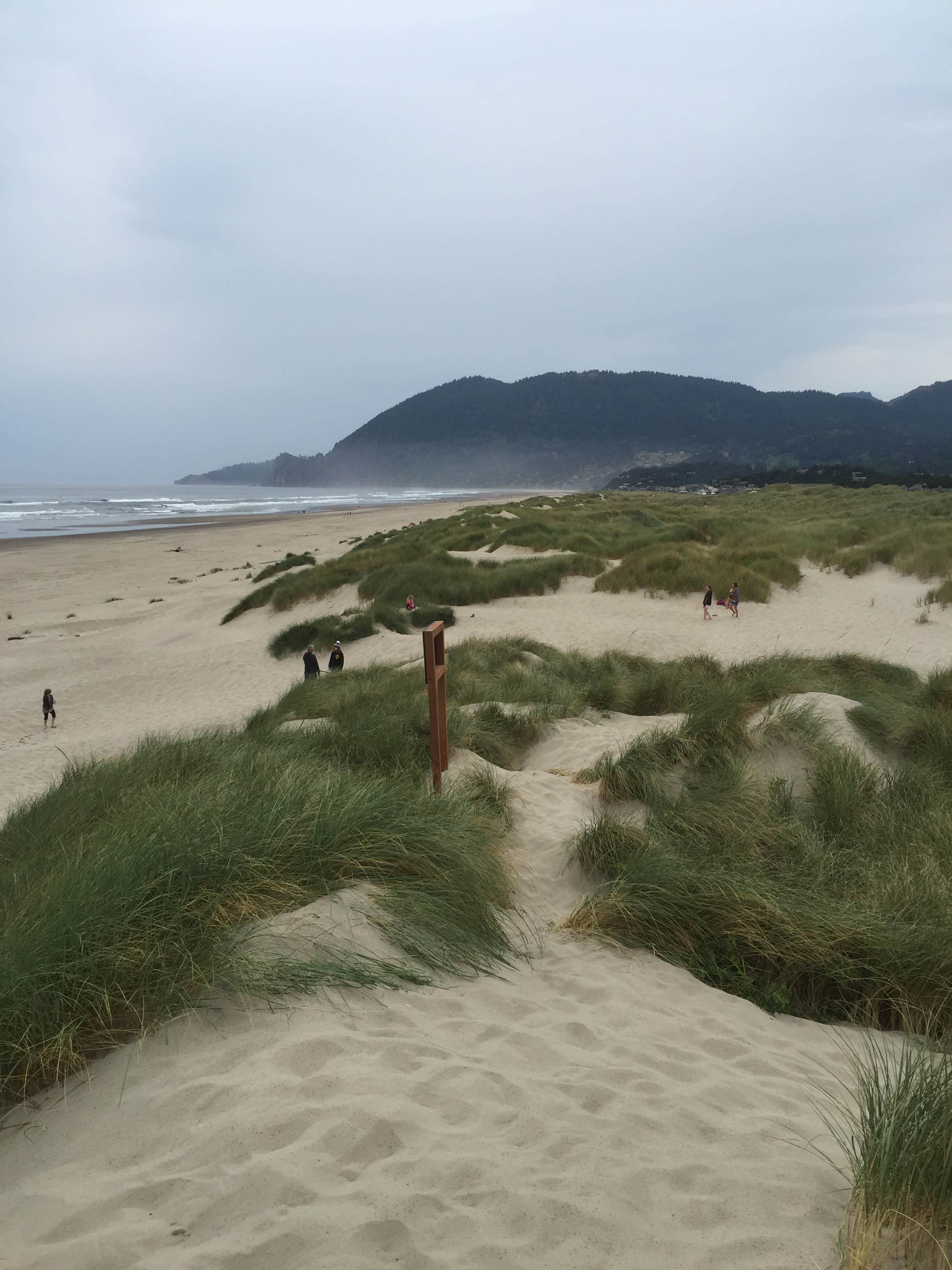 Nehalem Bay State Park | The Dyrt
