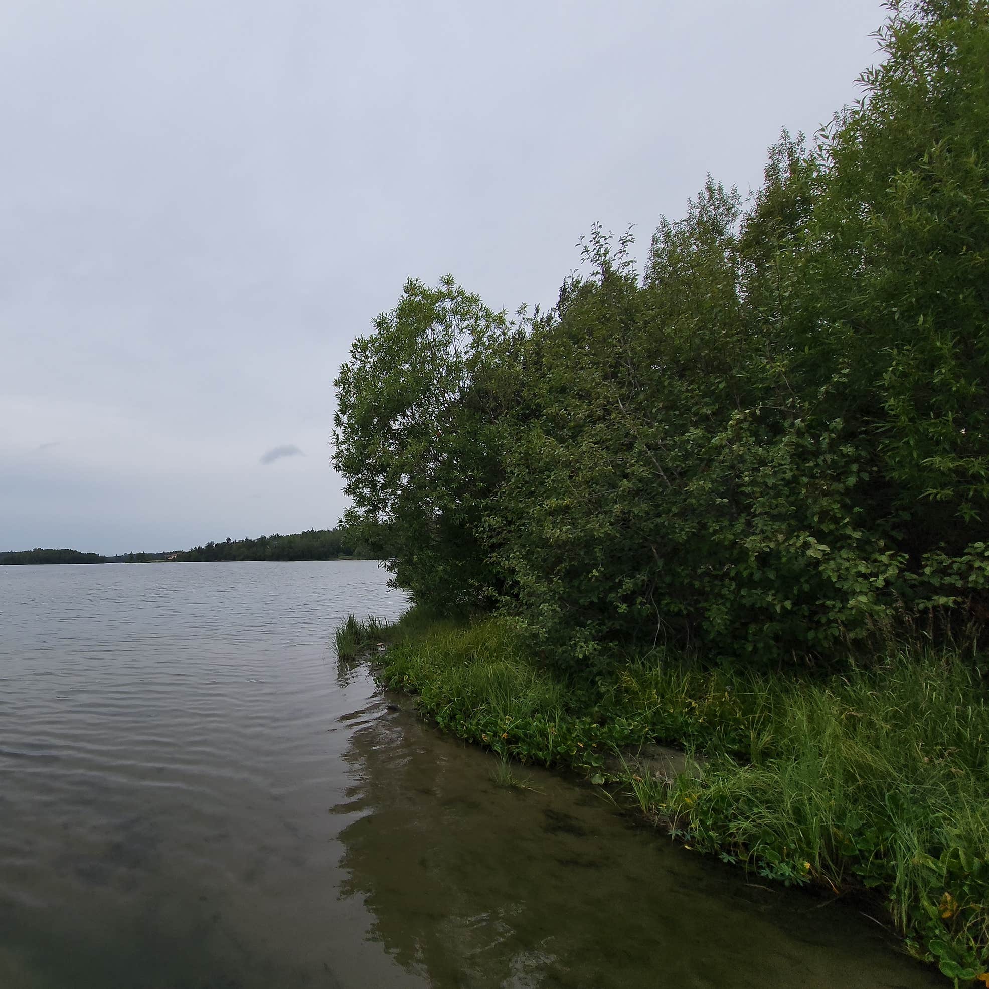 Finger Lake State Recreation Site Campground | Palmer, Alaska