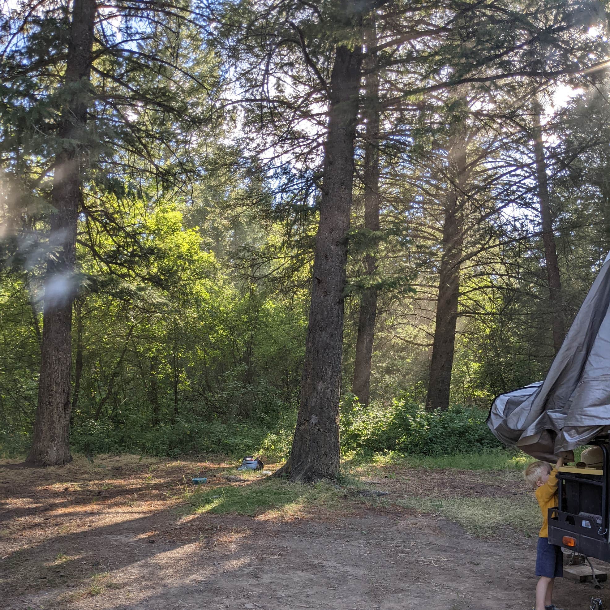 Greys River Corridor Camping | Alpine, Wyoming