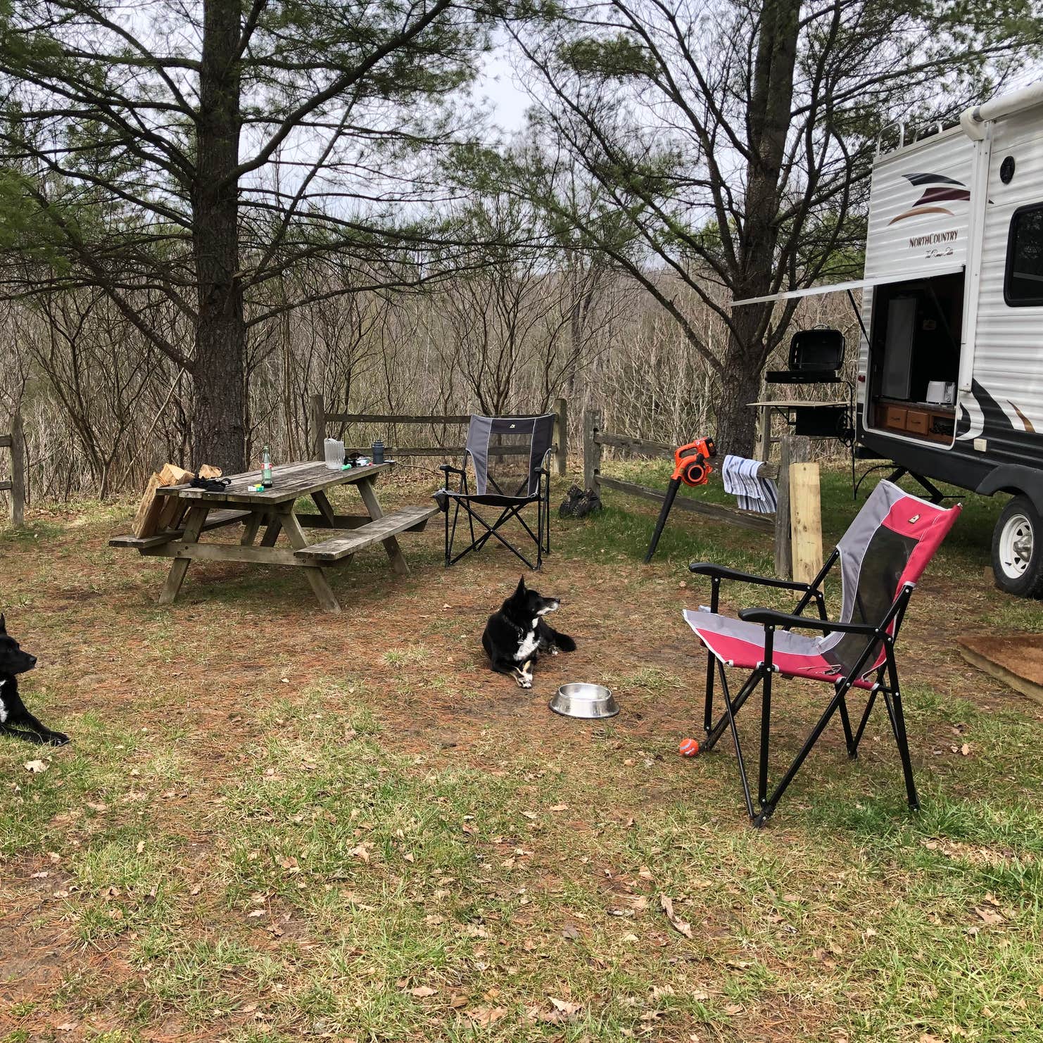 Coolwater on the Pine River Campground | Welston, MI