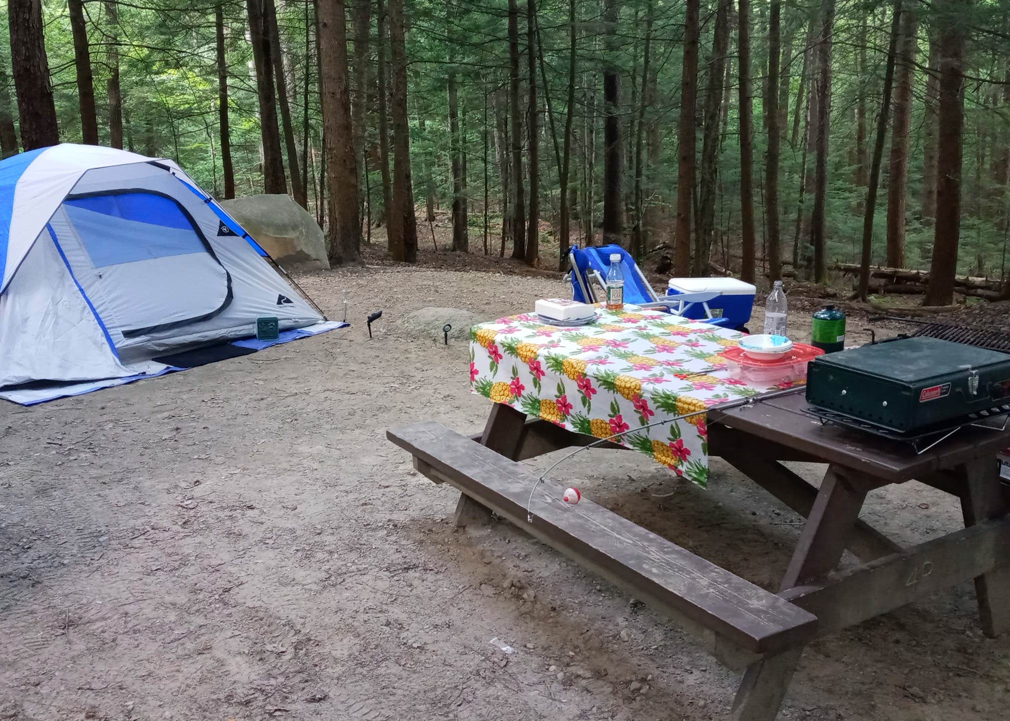 Clarksburg State Park Camping | The Dyrt