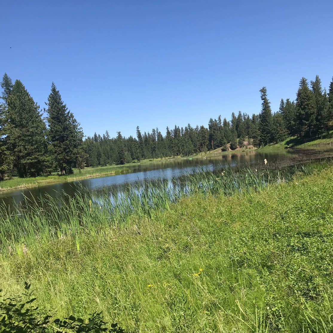 Bull Prairie Campground (OR) | Kimberly, Oregon