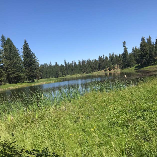 Bull Prairie Campground (OR) | Kimberly, Oregon