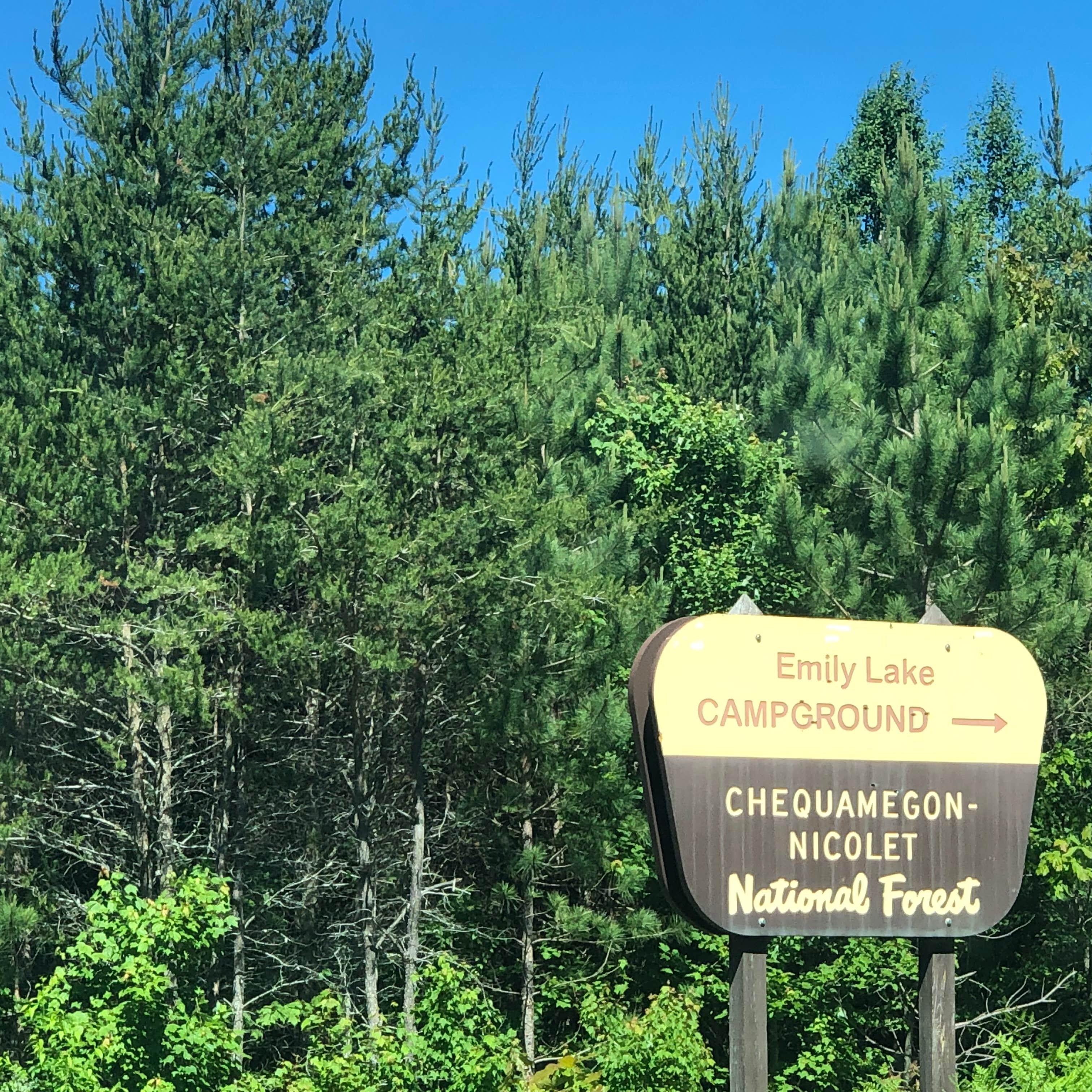 Emily Lake NF Campground Camping | The Dyrt