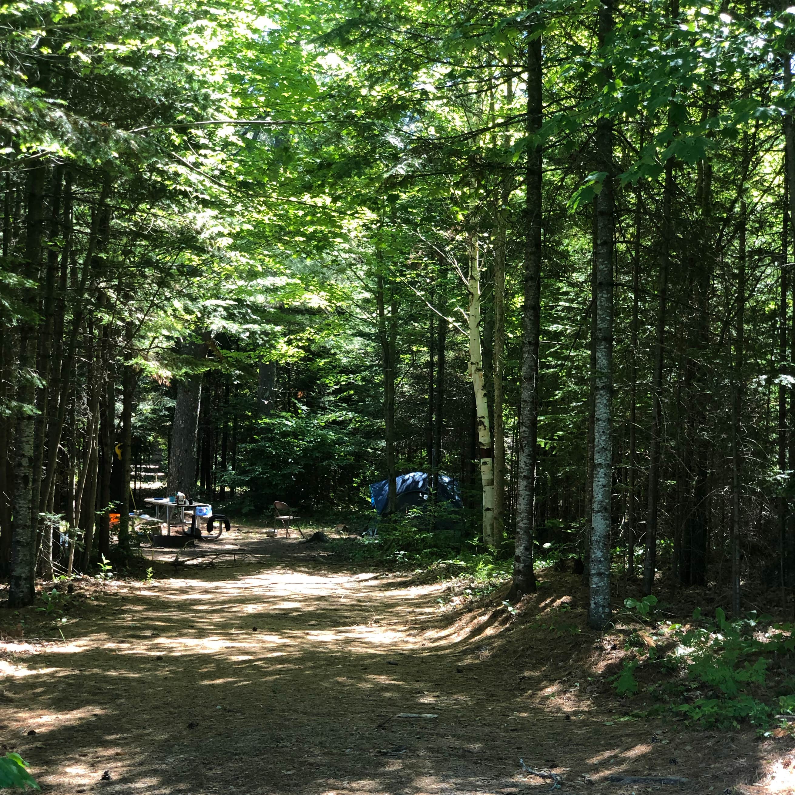 Emily Lake NF Campground Camping | The Dyrt