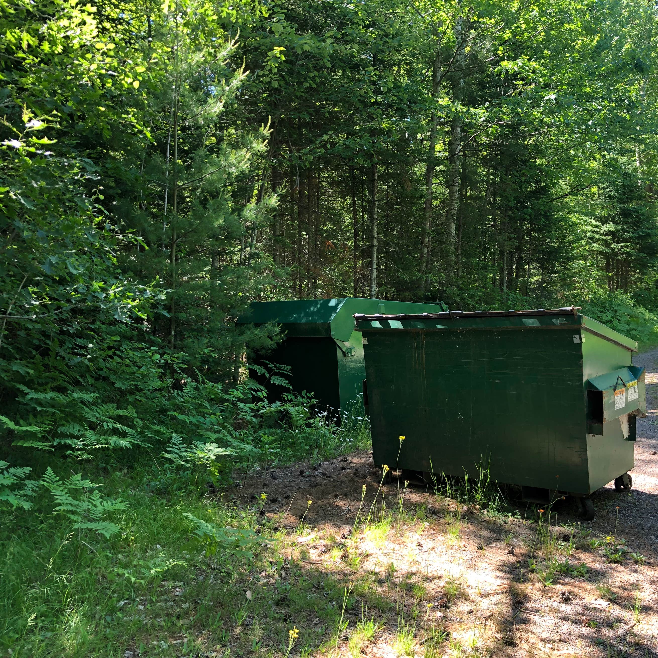Emily Lake NF Campground Camping | The Dyrt