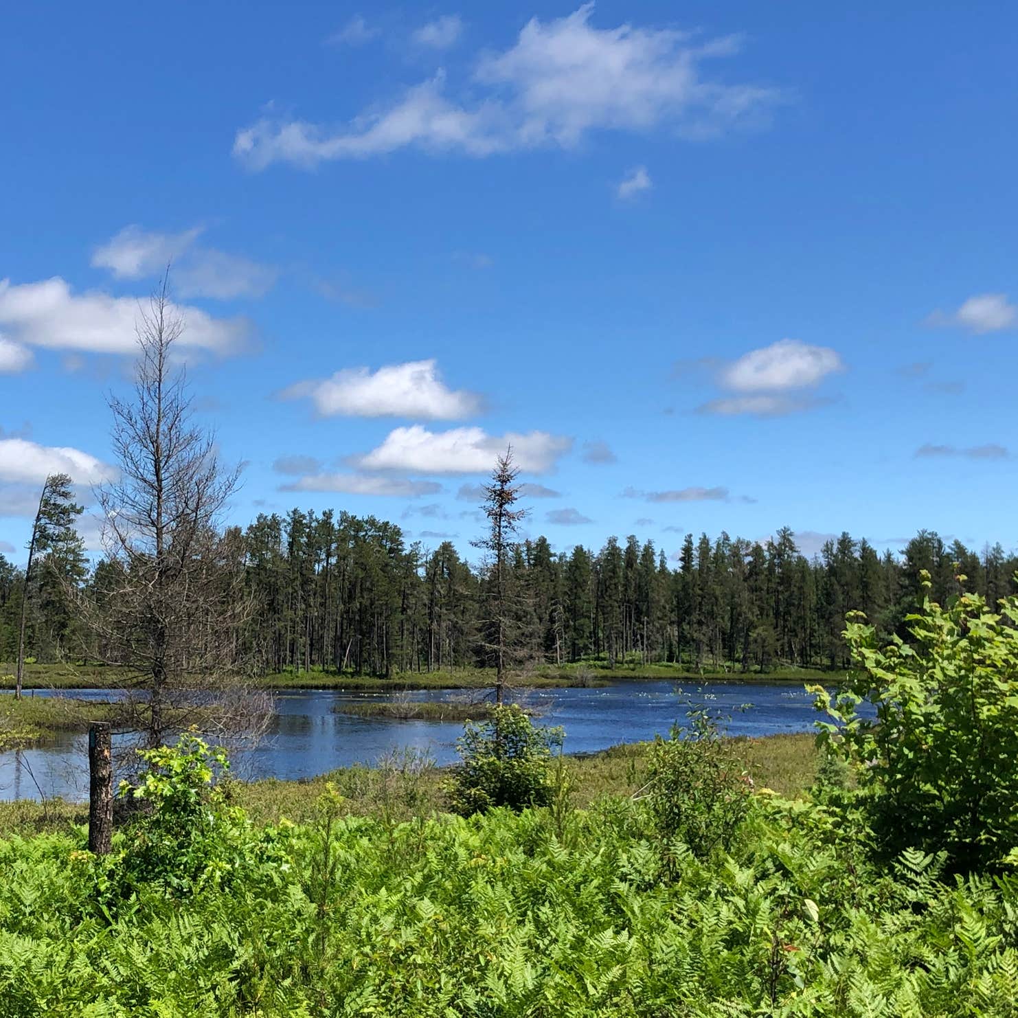 Big Lake State Forest Campground | Watton, MI