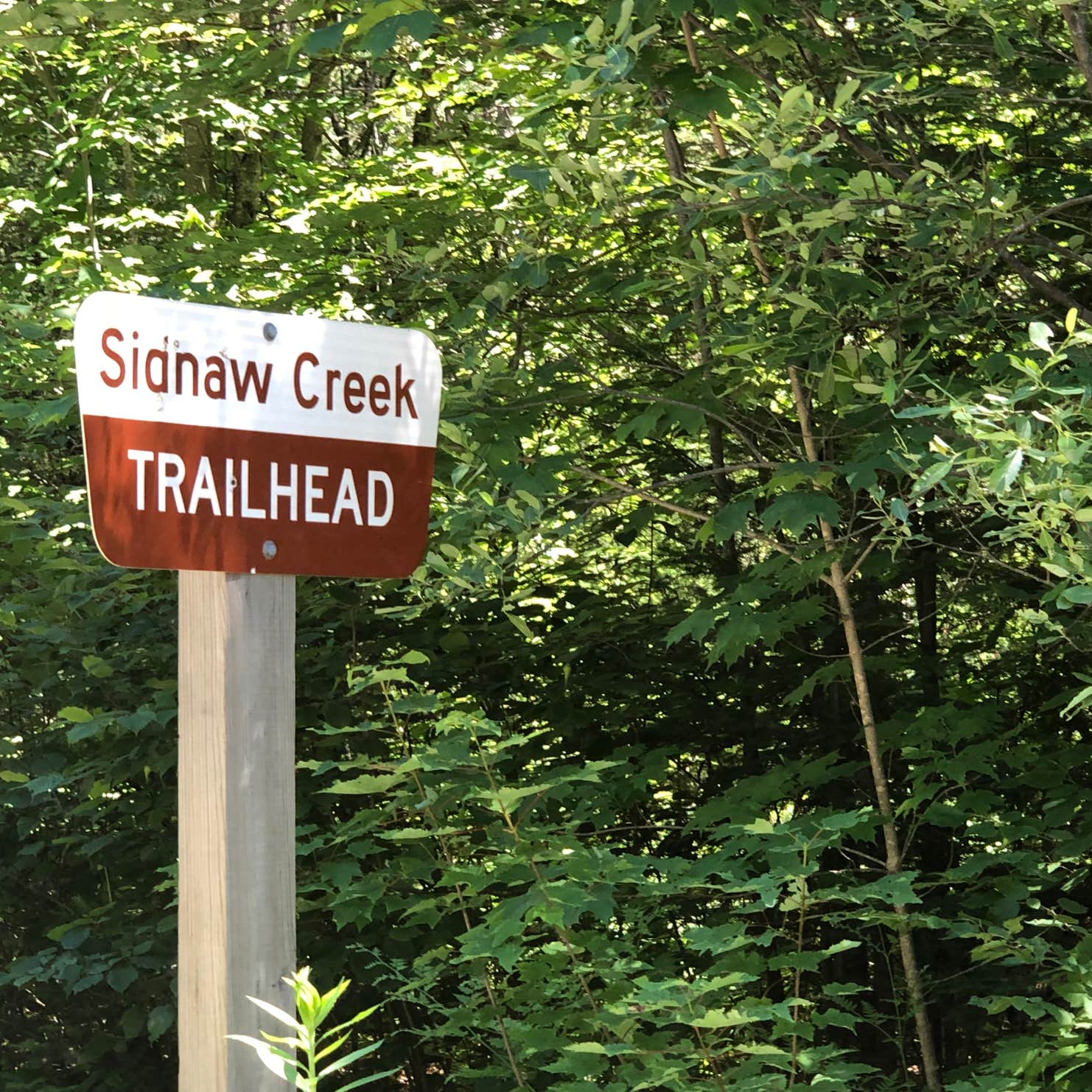 Sturgeon River Campground | Watton, Michigan