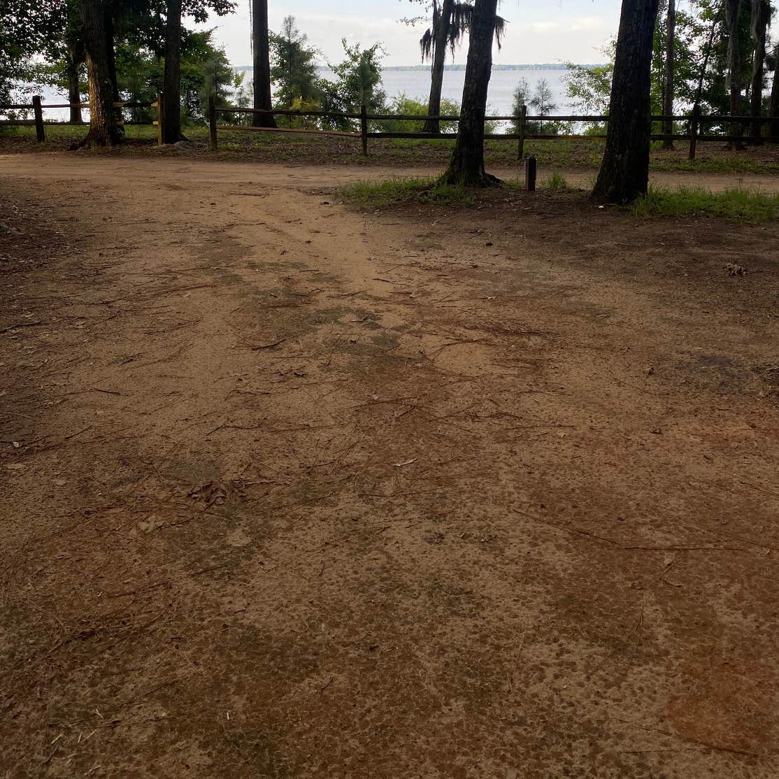 The Lakeshore Campground — Santee State Park | Santee, SC