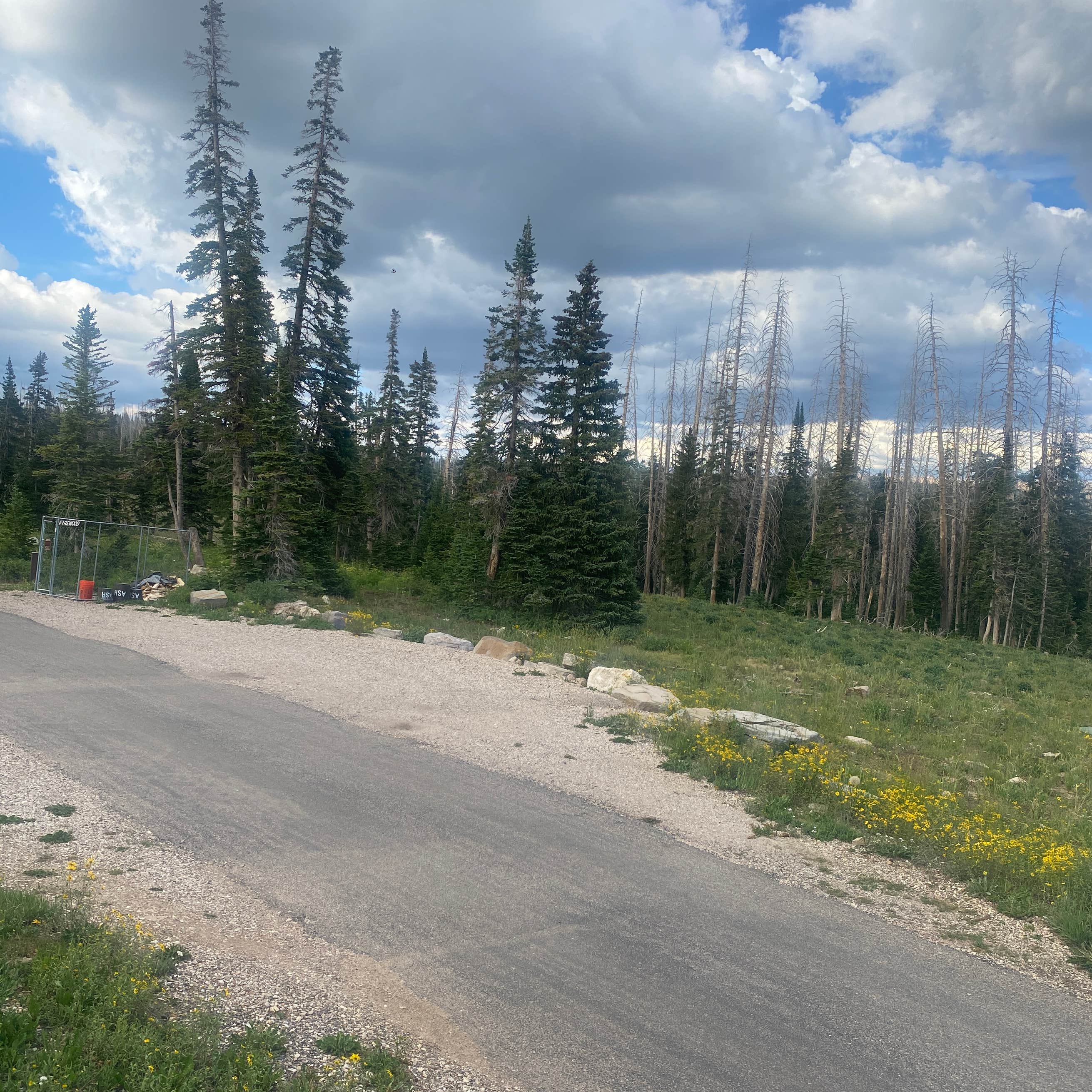 Point Supreme Campground — Cedar Breaks National Monument | Brian Head ...
