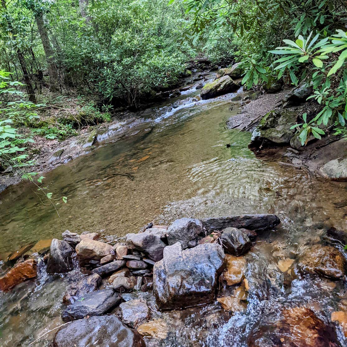 Hurricane Campground | Troutdale, Virginia