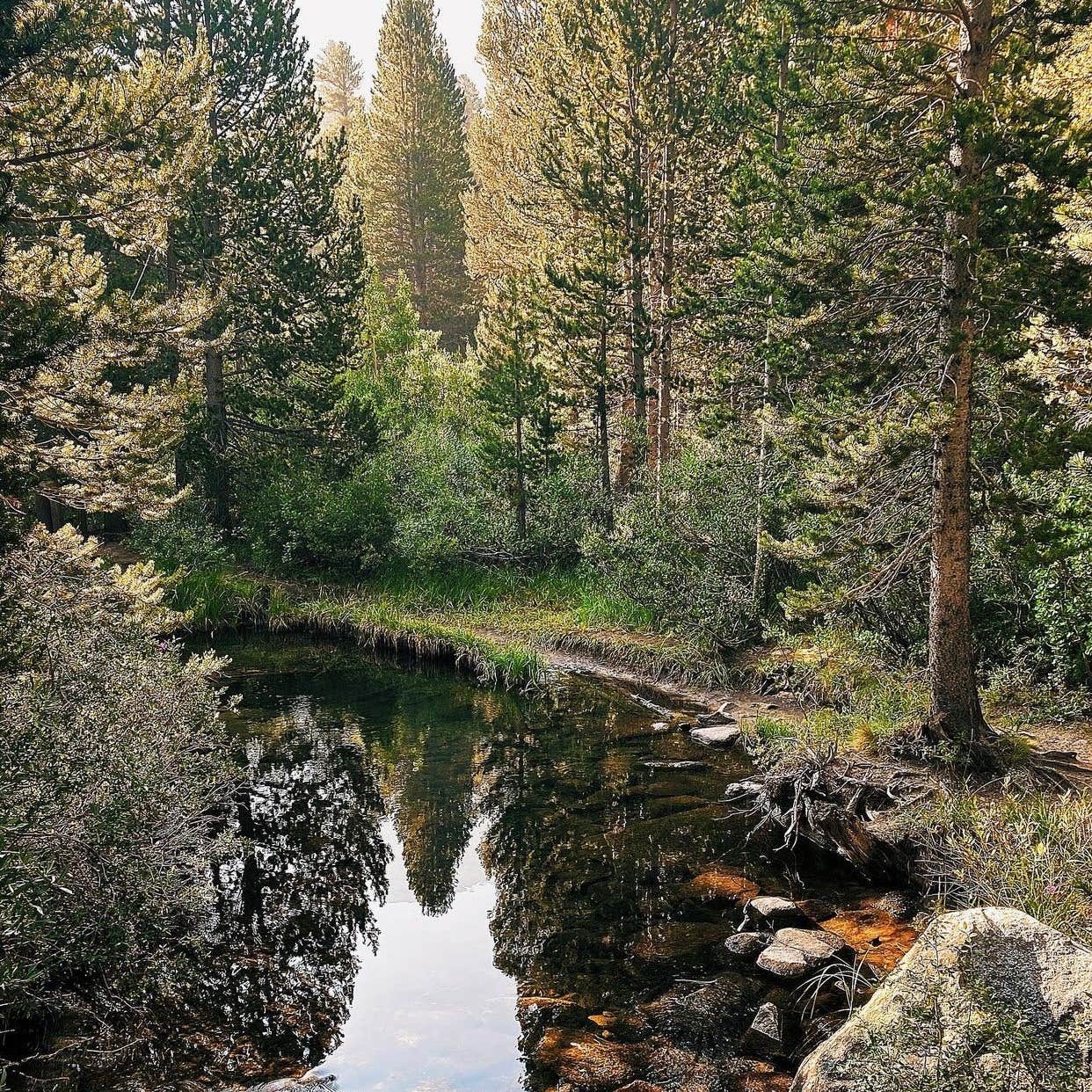 Rock Creek Lake Campground | Swall Meadows, California