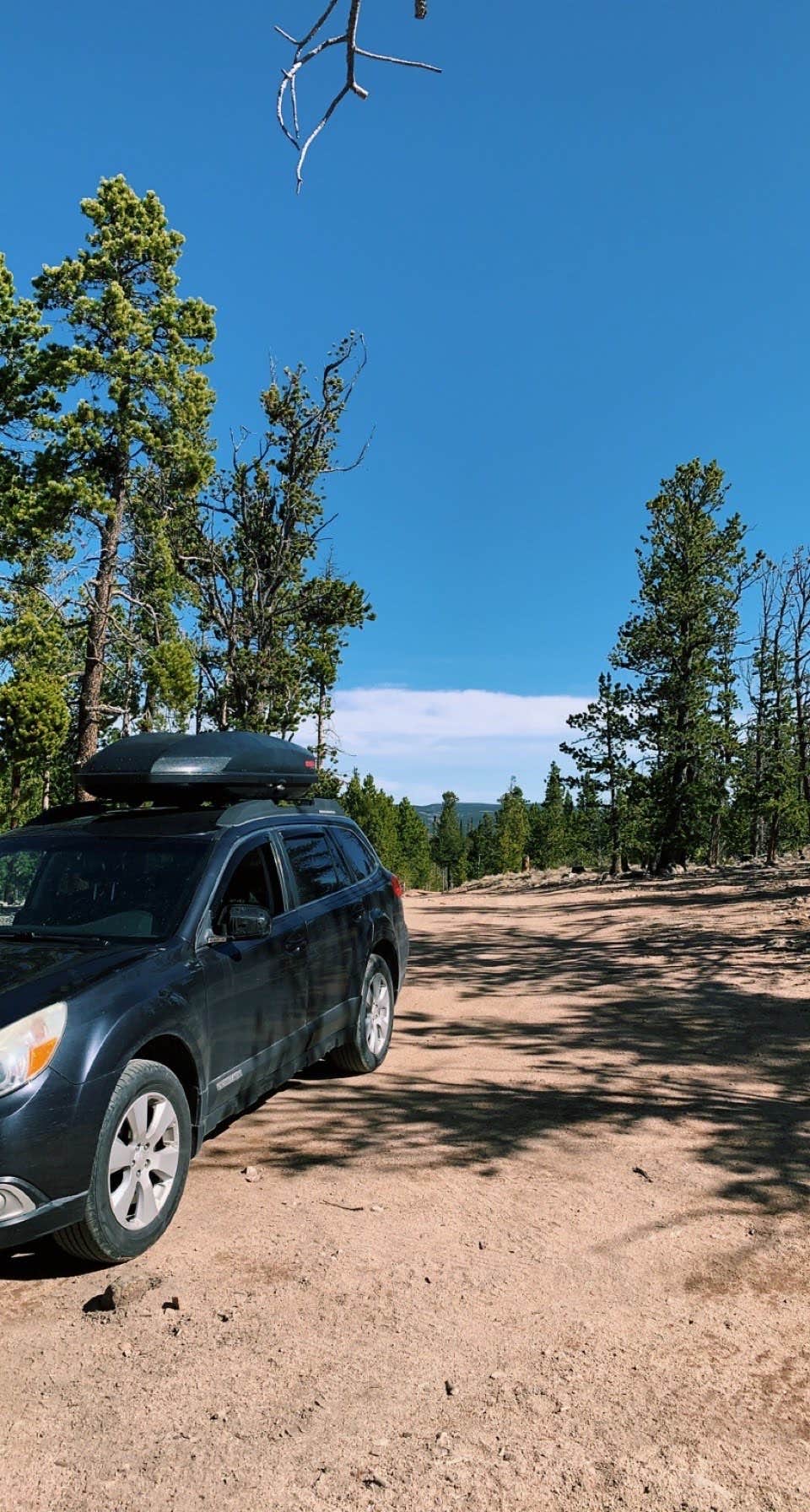 Deadman Road - Dispersed Site Camping | Red Feather Lakes, CO