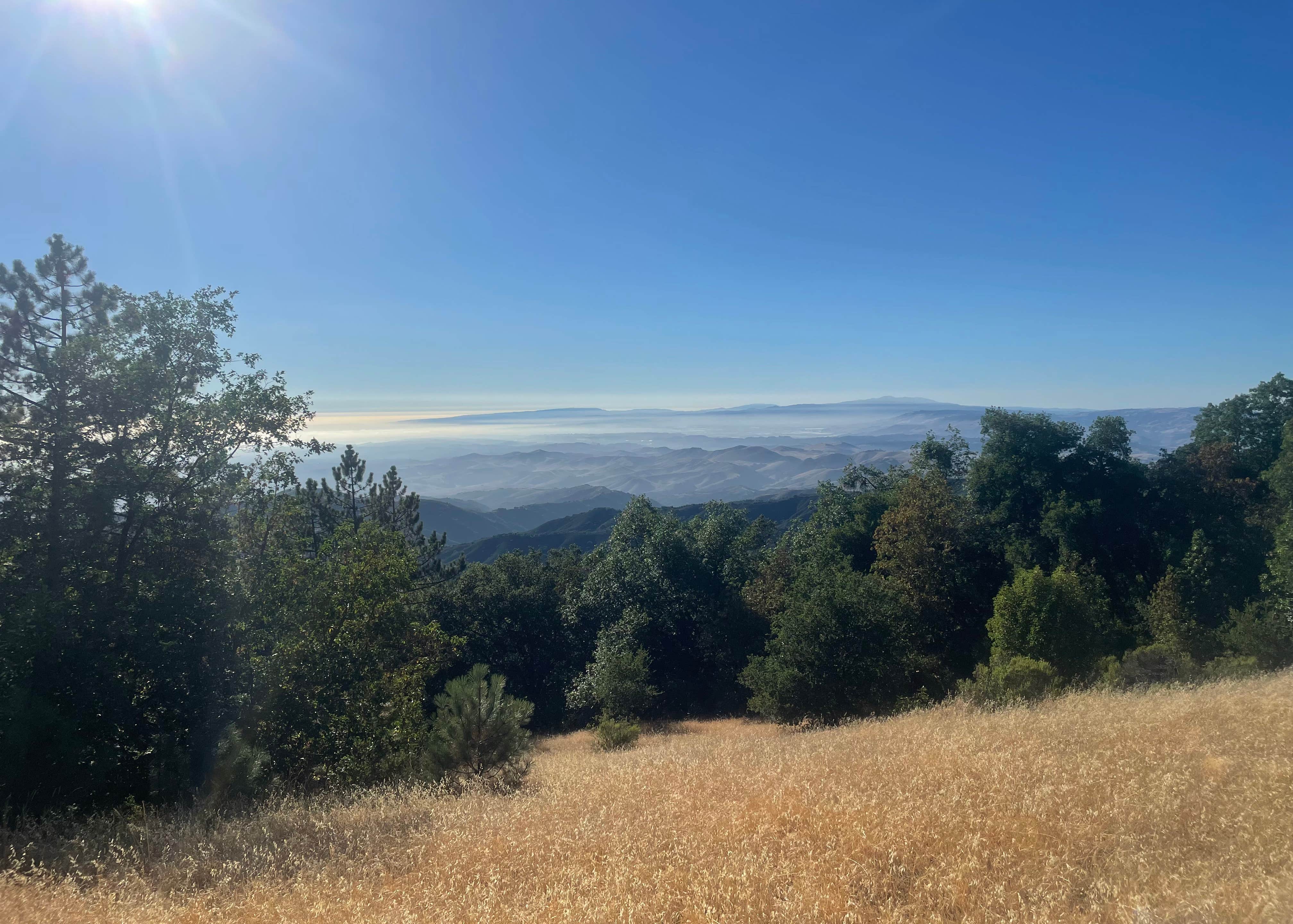 Fremont Peak State Park Camping | The Dyrt