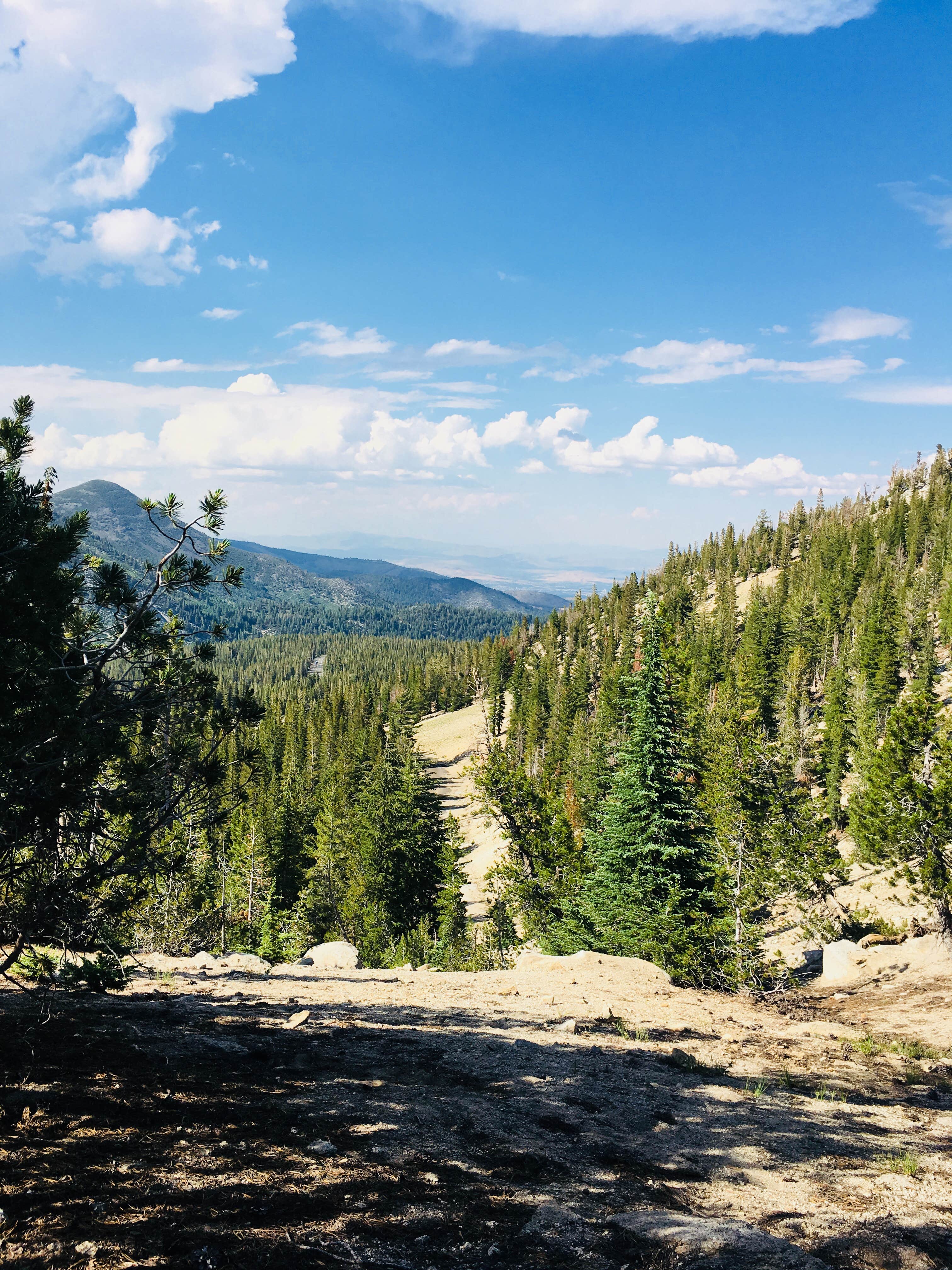 Mount Rose Campground | markleeville, CA